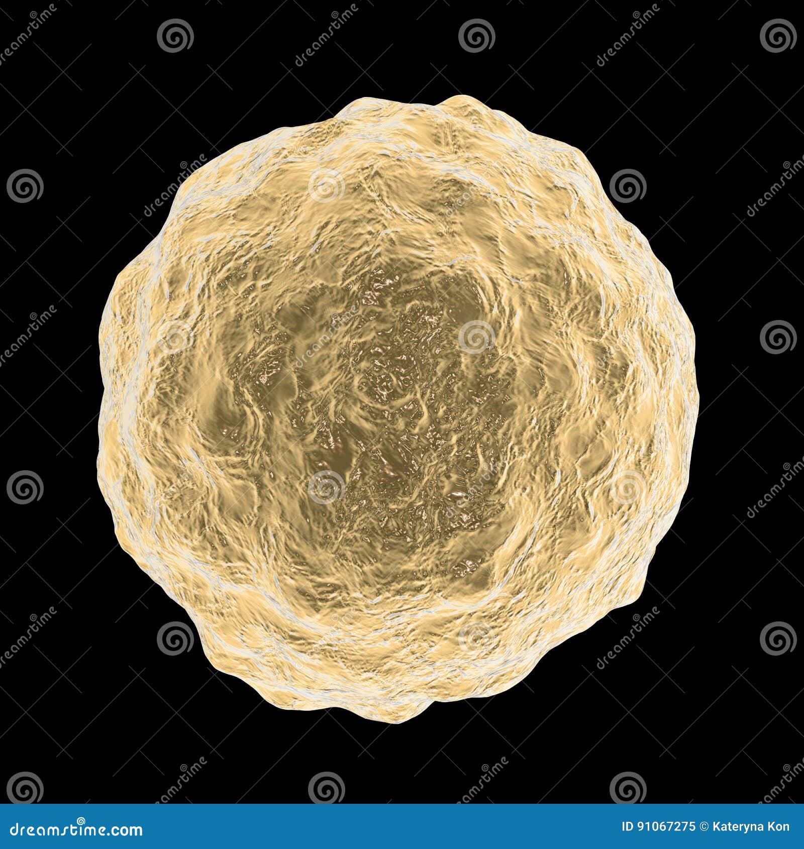 Bacterium Coccus Close-up View Stock Illustration - Illustration of ...