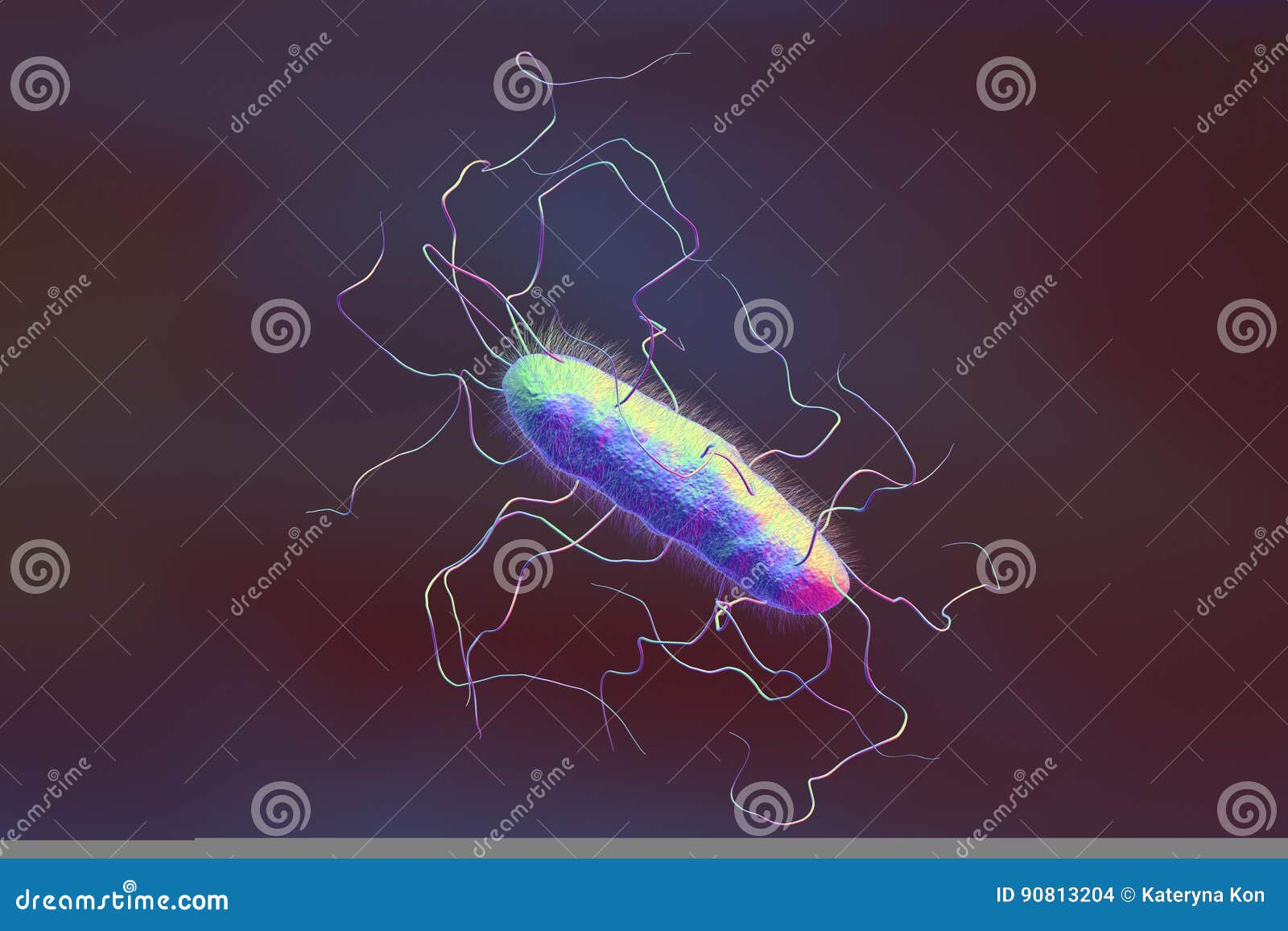 Bacterium With Pilli And Flagella Royalty-Free Illustration ...