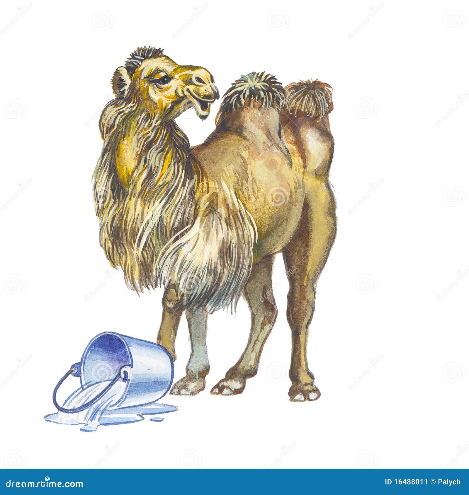 Bactrian camel stock illustration. Illustration of water - 16488011