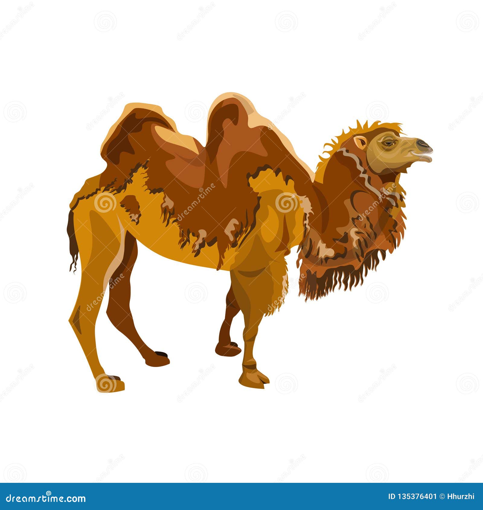 Bactrian camel shedding stock vector. Illustration of design - 135376401