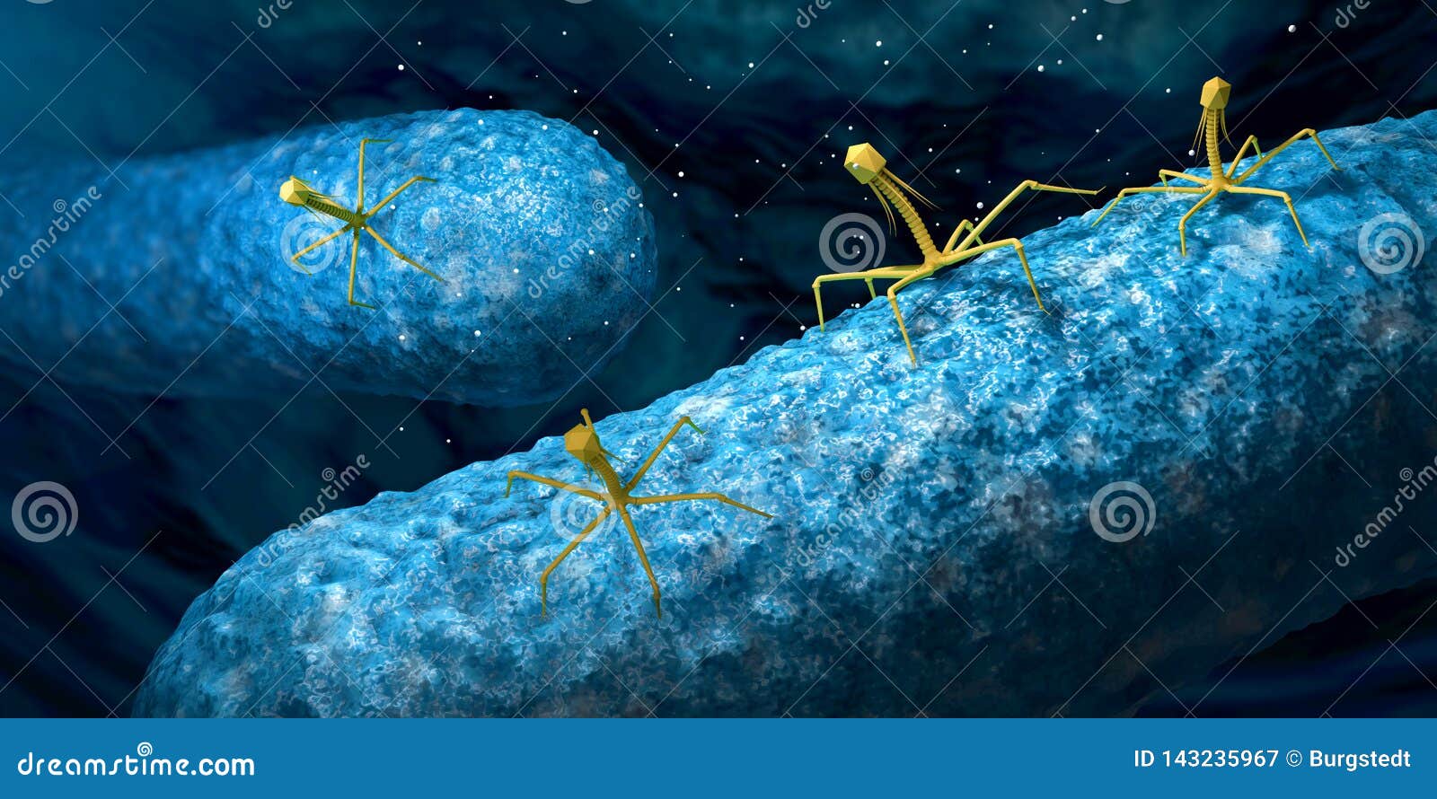 Bactériophage Ou Virus Bactériophage Attaquant Et Infectant Bactéries Illustration Stock ...
