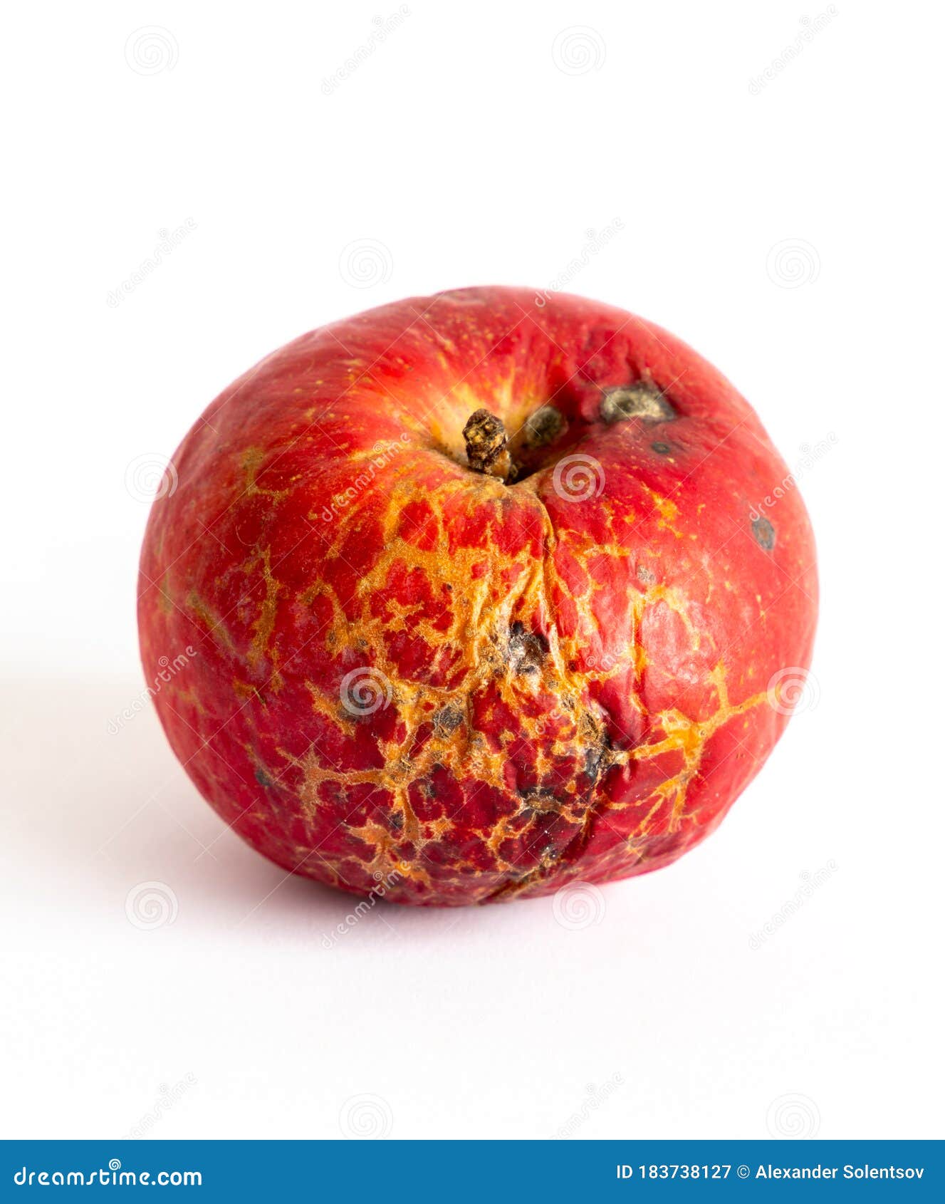 Bad apple stock image. Image of heal, illness, closeup - 183738127