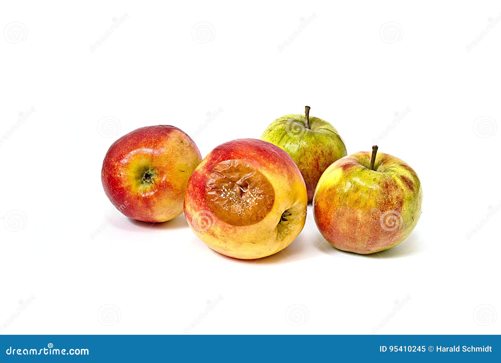 Bad Apple among Edible Apples Stock Image - Image of mold, decayed ...