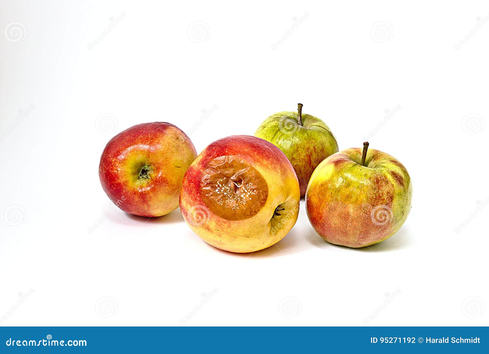 Bad apple stock photo. Image of nutrition, isolated, fruits - 95271192