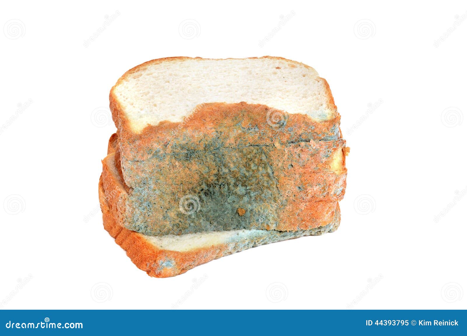 Bad Bread stock image. Image of isolated, background - 44393795