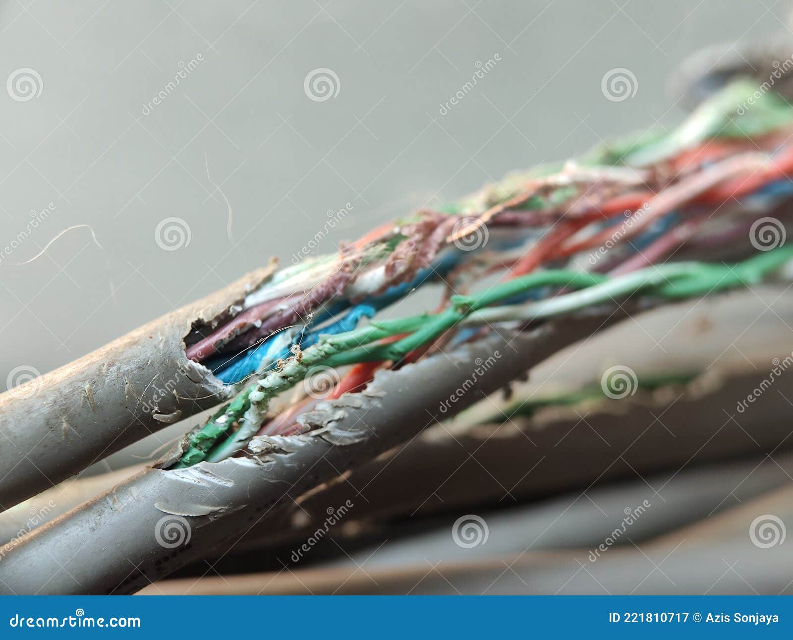 Bad cable bitten by rat stock image. Image of raat, bitten - 221810717