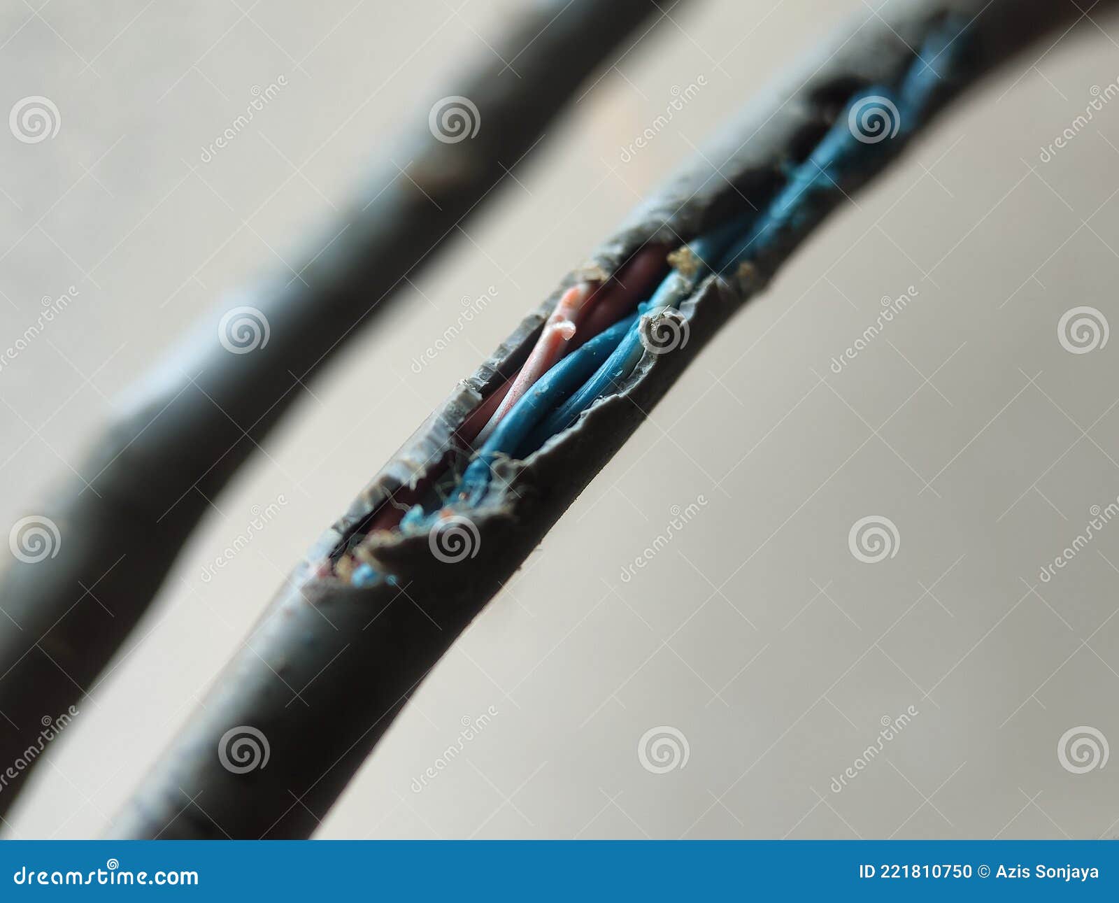 Bad cable bitten by rat stock photo. Image of finger - 221810750