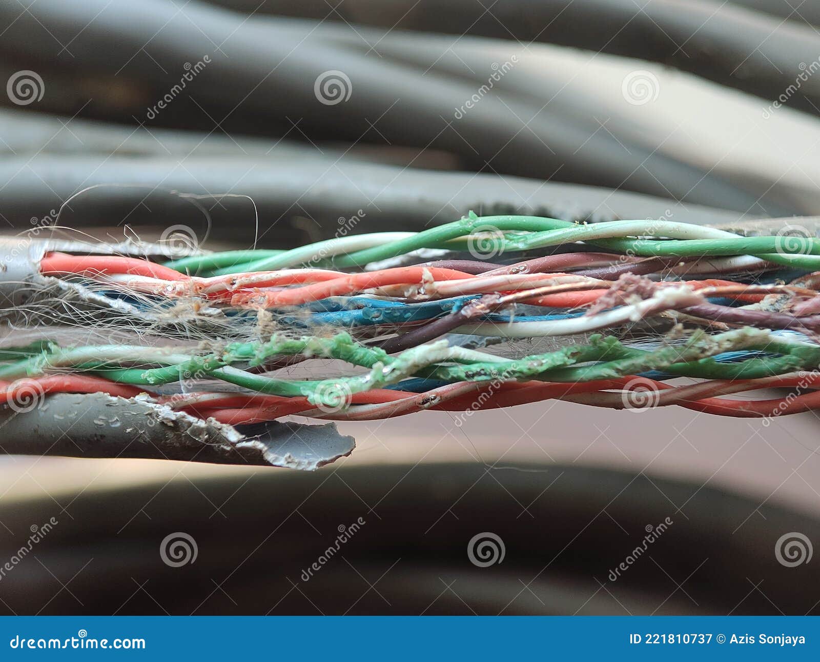 Bad cable bitten by rat stock image. Image of textile - 221810737