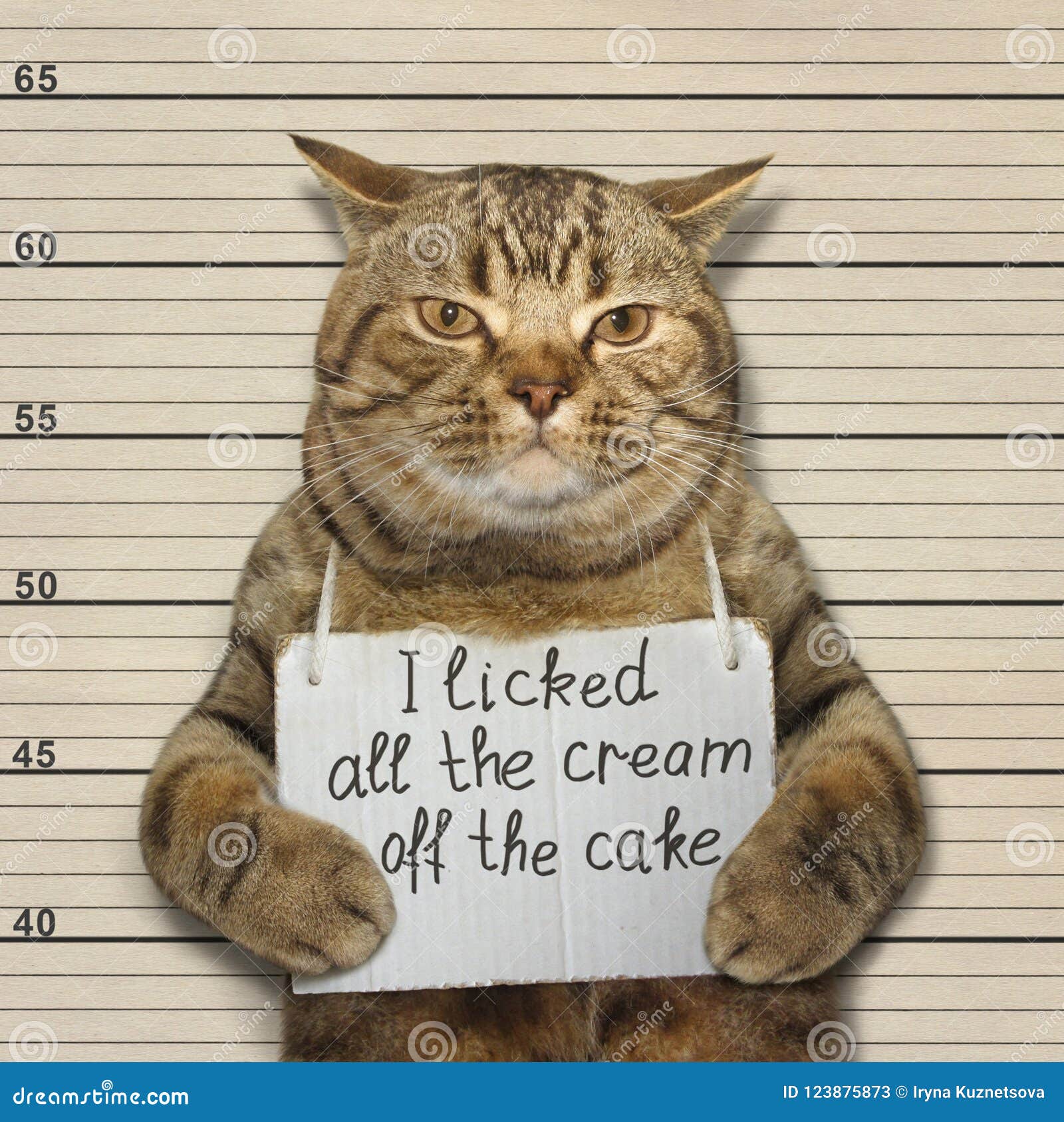 Bad cat licked all cream stock image. Image of cream - 123875873