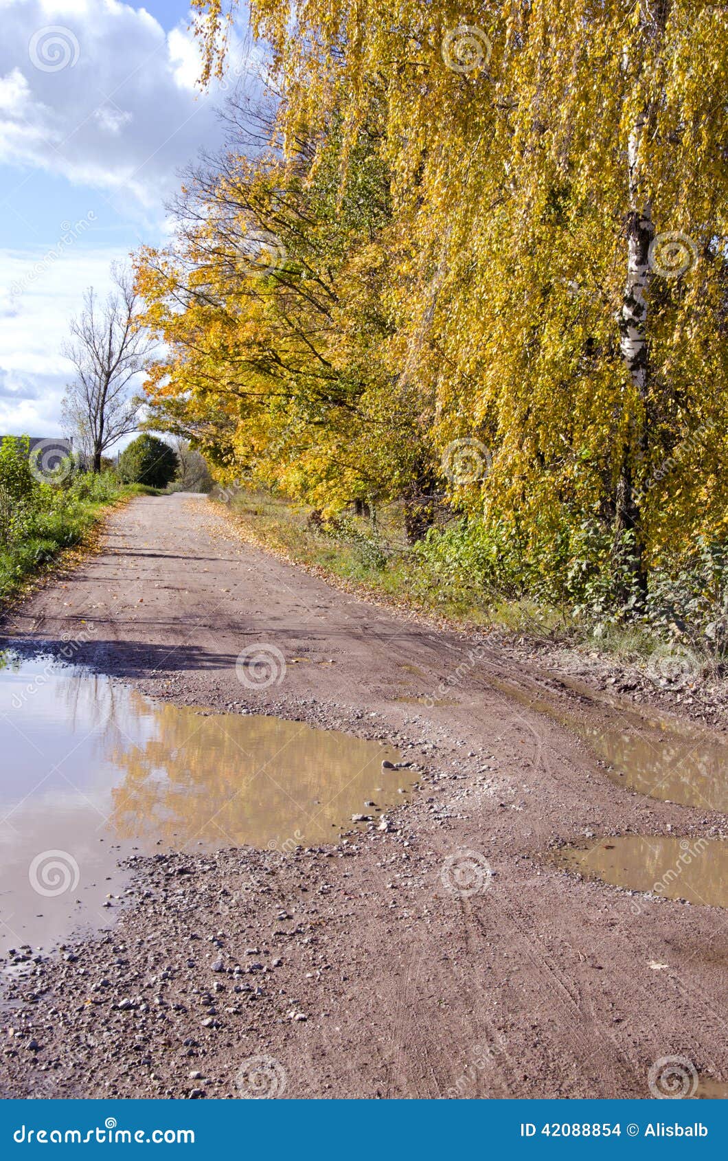Bad Condition Autumn Rural Road after Rain Stock Photo - Image of path ...