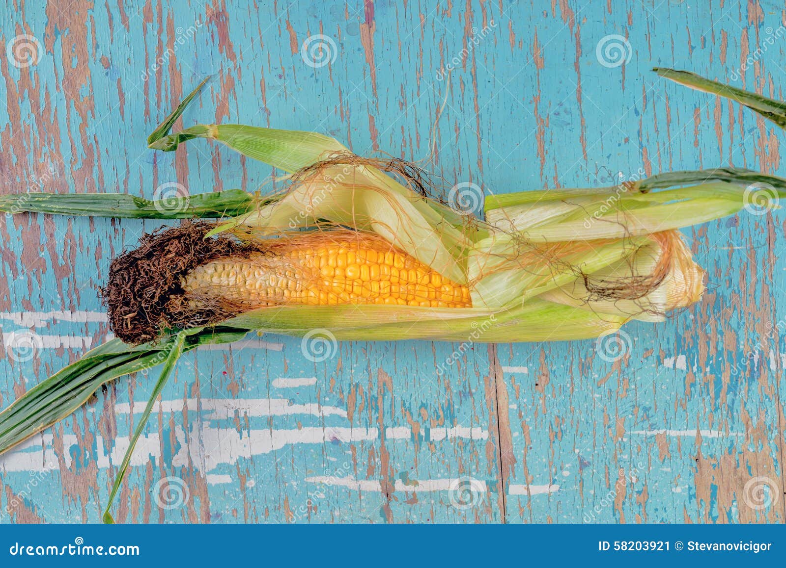 Bad corn stock image. Image of agricultural, rustic, hybrid - 58203921 Bad corn stock image. Image of agricultural, rustic, hybrid - 58203921