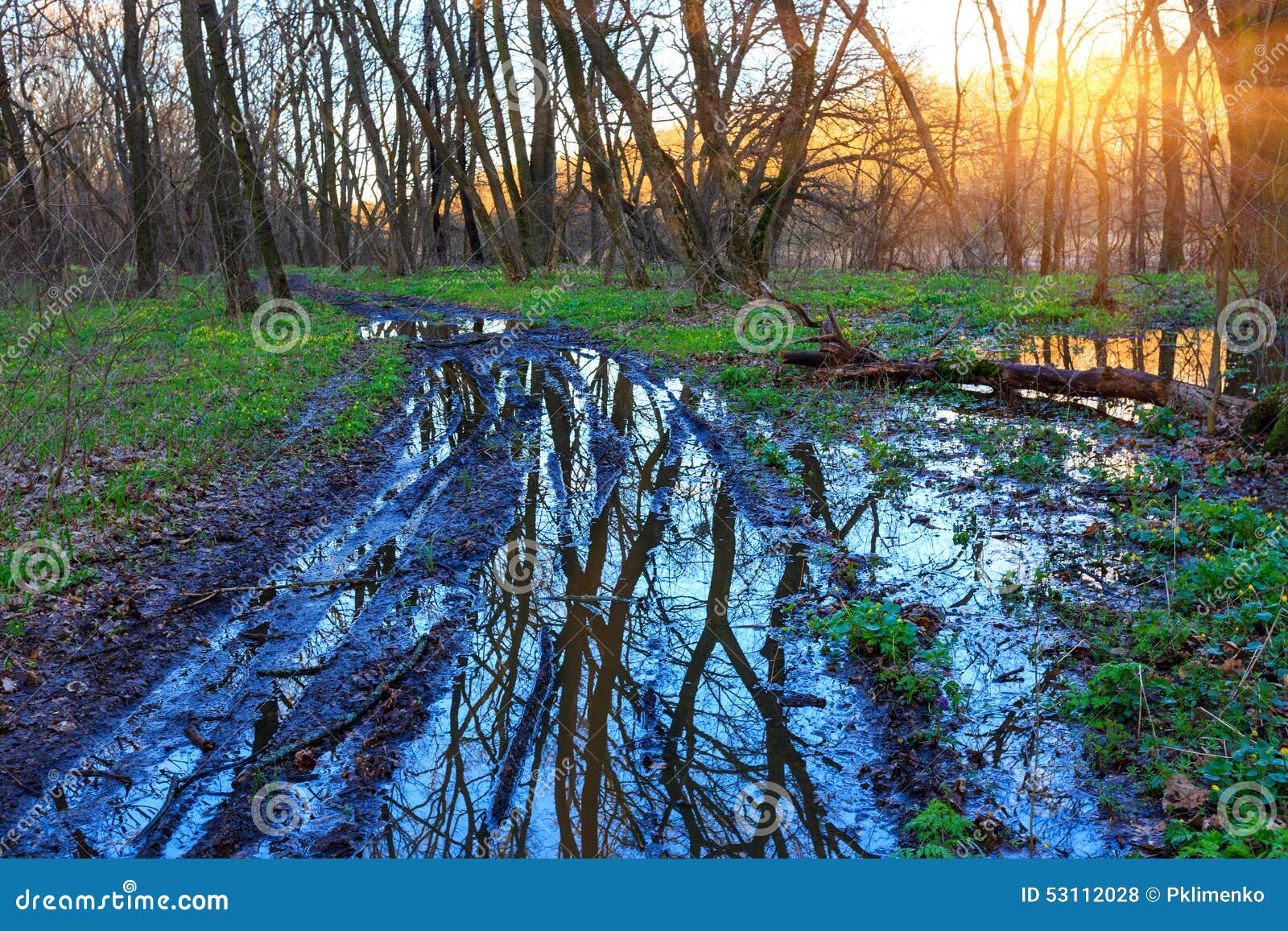Bad Dirty Road in Spring Forest Stock Photo - Image of path, country ...