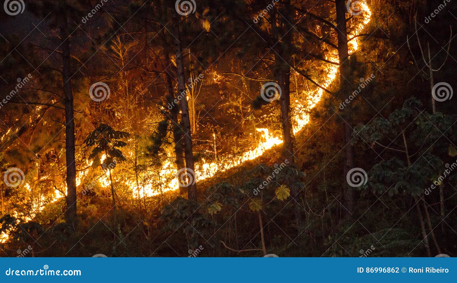 Bad Fire stock photo. Image of hour, purple, high, pink - 86996862