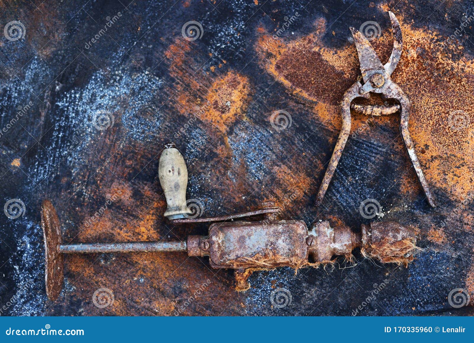Bad Keeping of the Iron Tools Stock Photo - Image of secateur, pruner ...