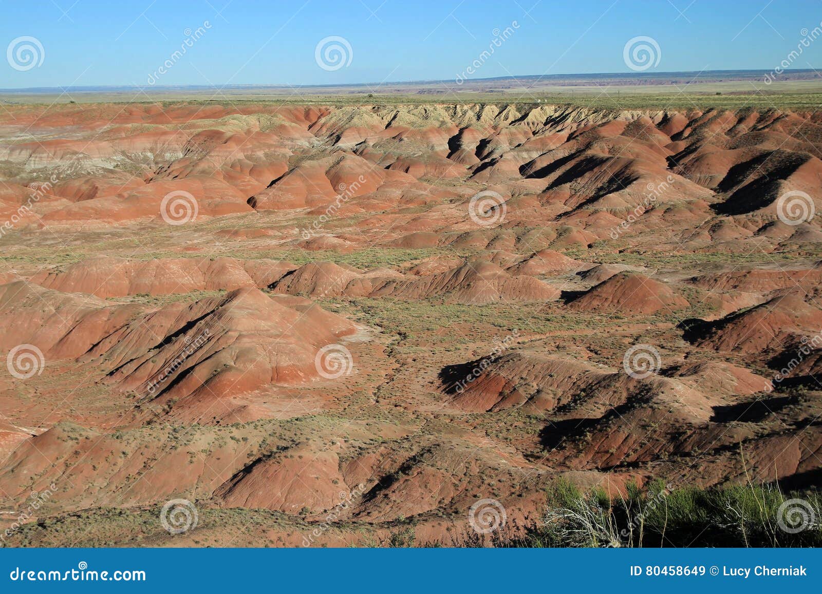Bad Land stock image. Image of flora, park, sand, dune - 80458649