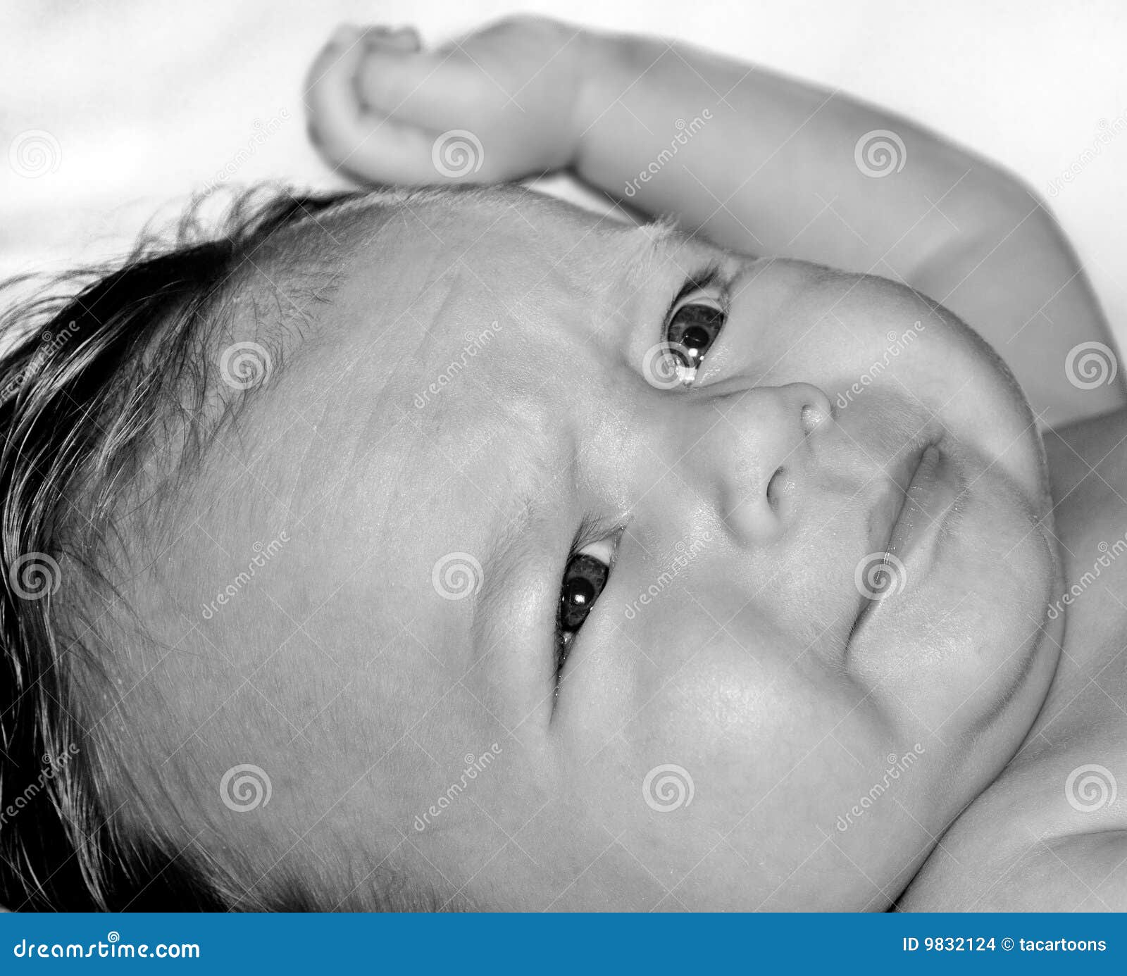 Bad mood stock photo. Image of fondly, delicacy, black - 9832124