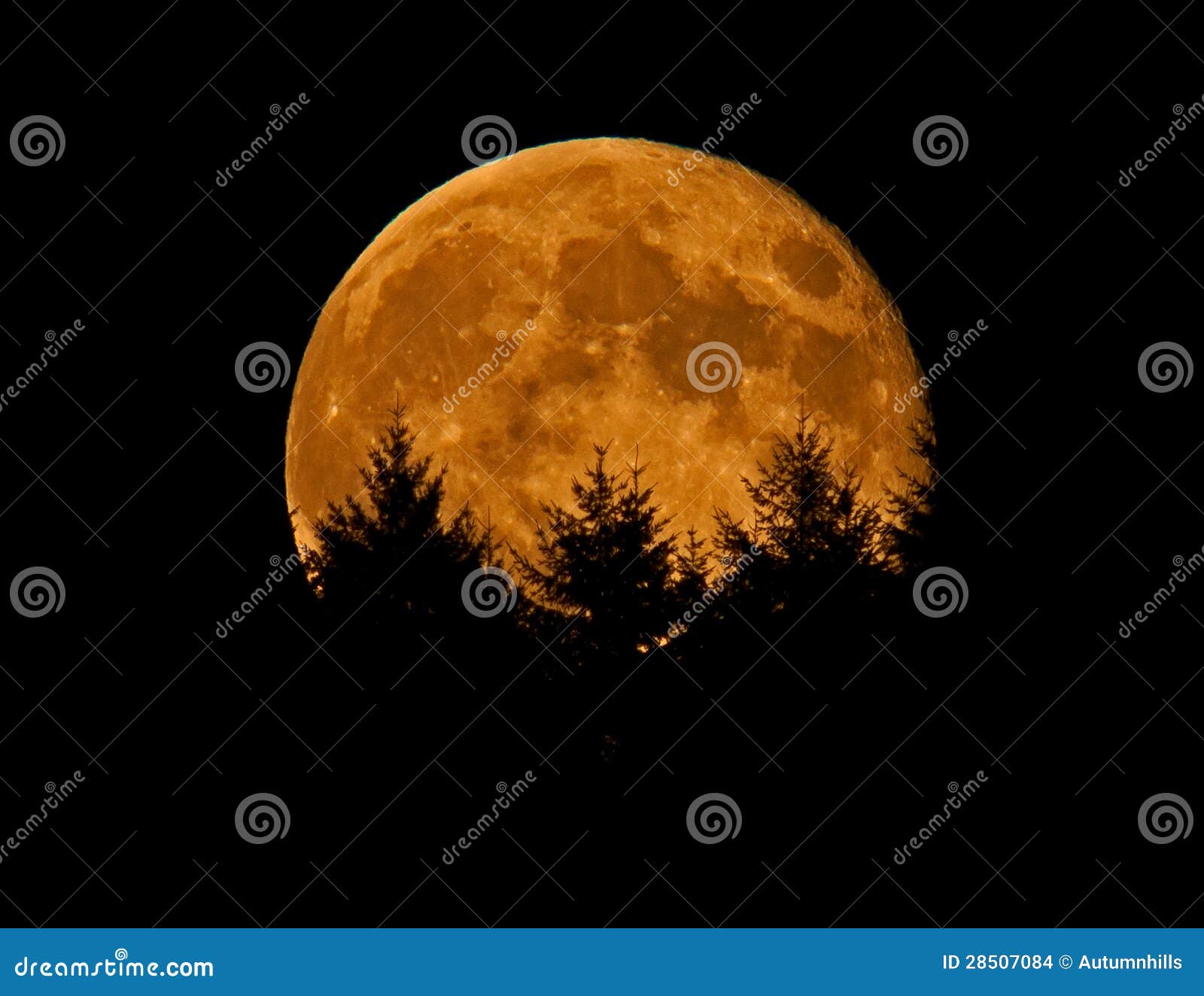 Bad Moon on the Rise stock photo. Image of rising, timeless - 28507084