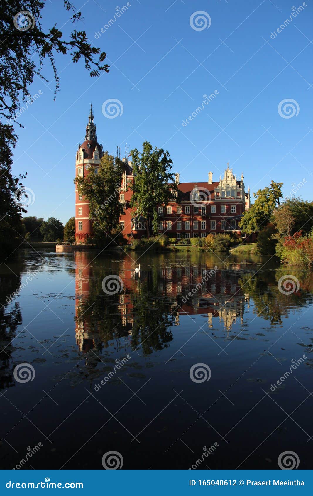 Old Oak Tree In Muskau Park, UNESCO World Heritage Site. Colorful ...