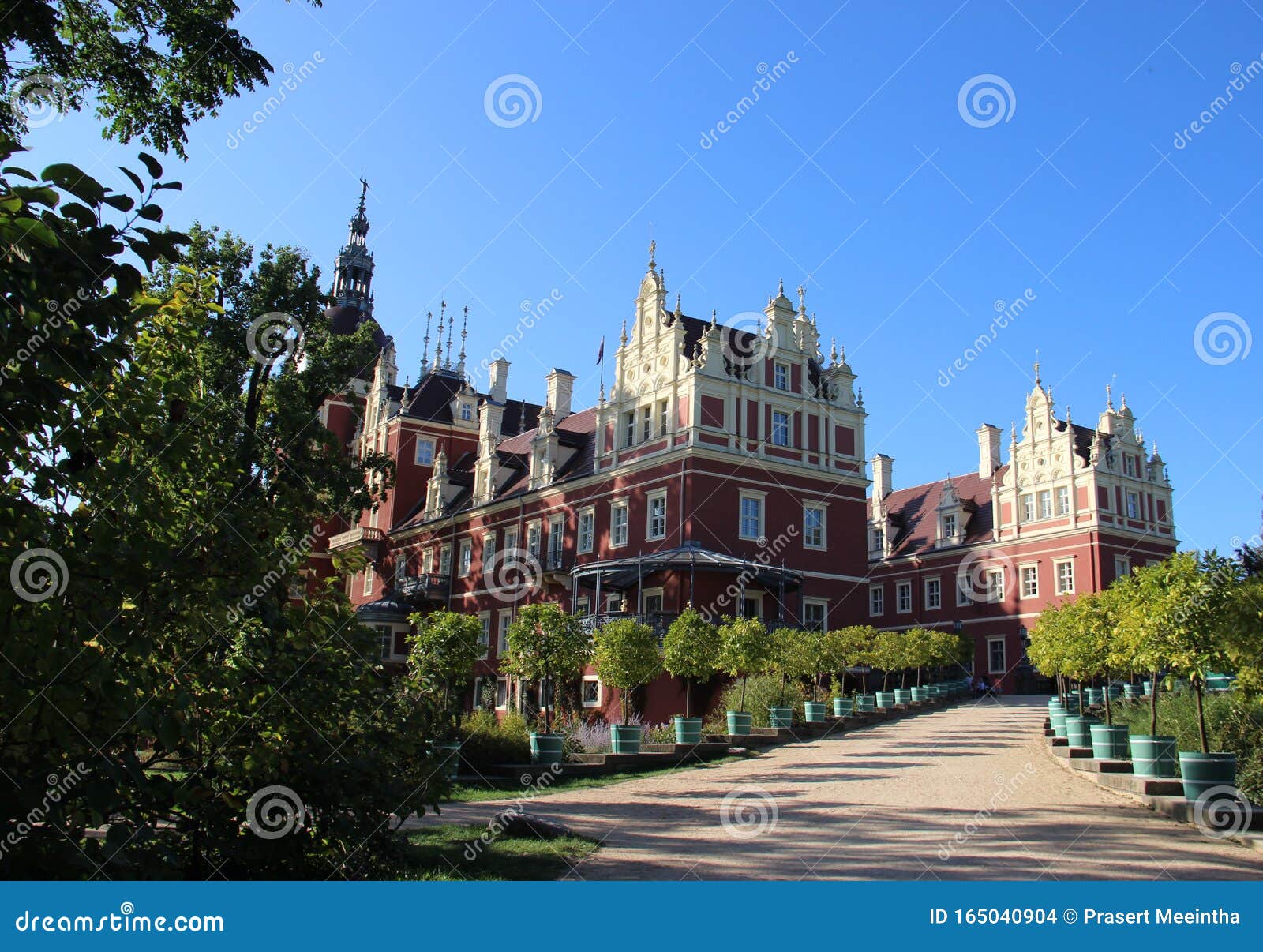 Old Oak Tree In Muskau Park, UNESCO World Heritage Site. Captivating ...