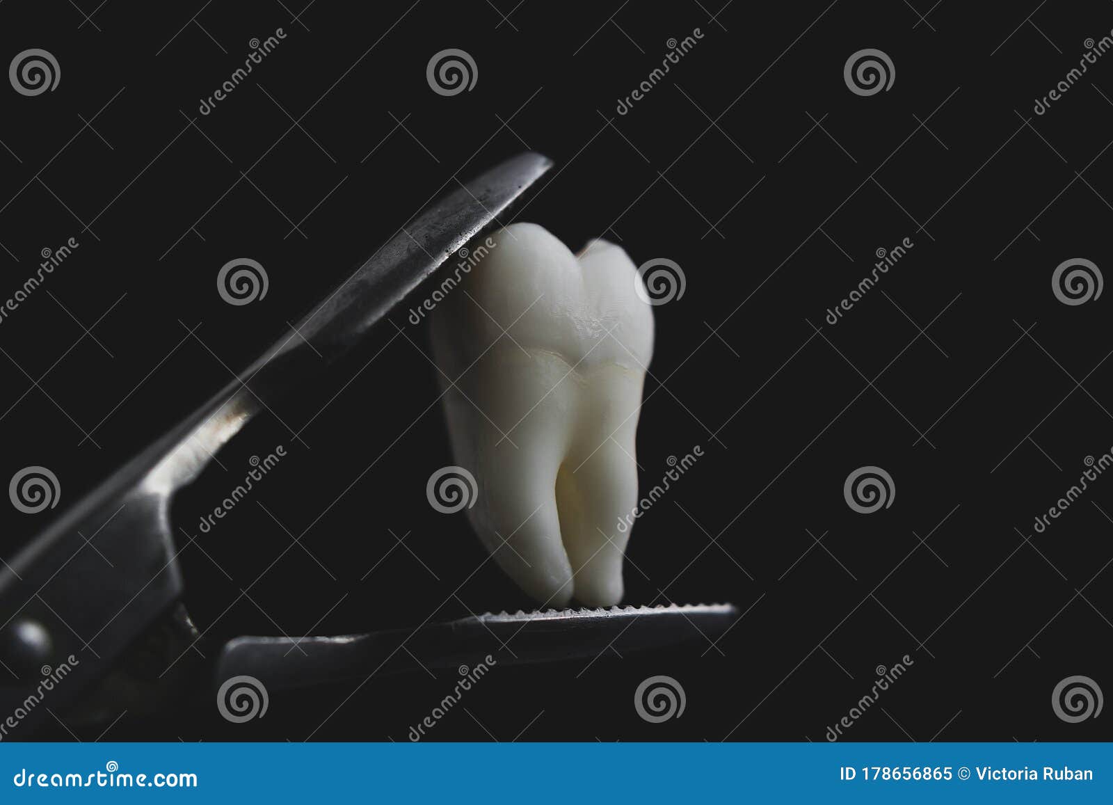 Real Tooth On White Toothbrush With Toothpaste On Black Background ...