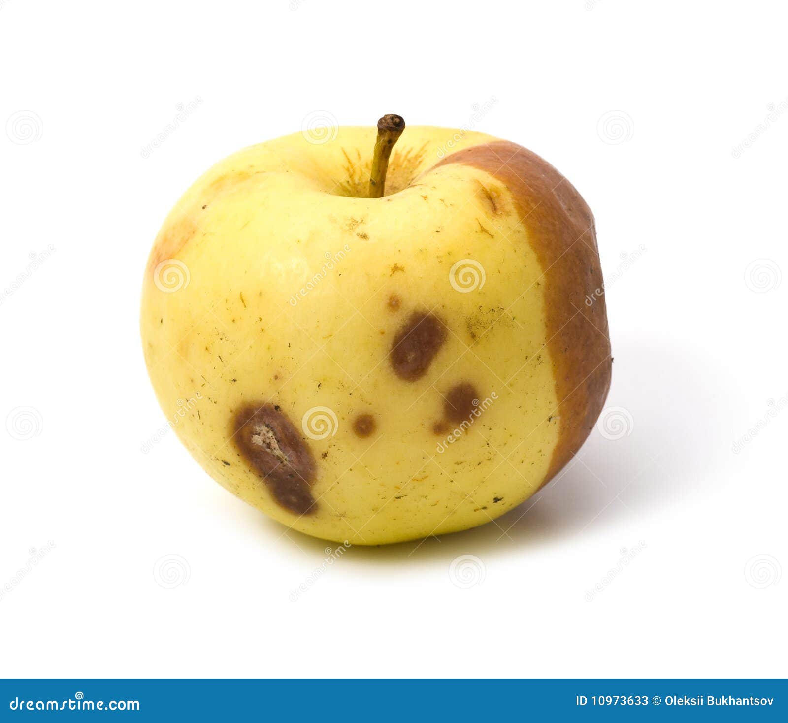 Bad rotten apple isolated stock image. Image of studio - 10973633