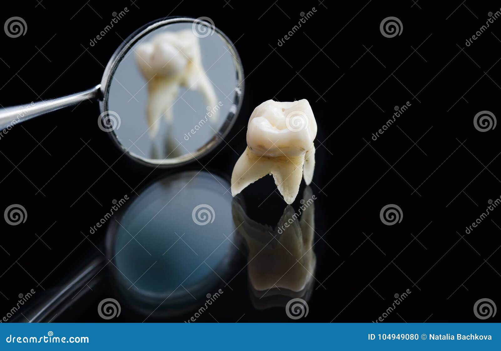 Bad Rotten Tooth is Pulled Out and is Located Opposite the Denta Stock ...