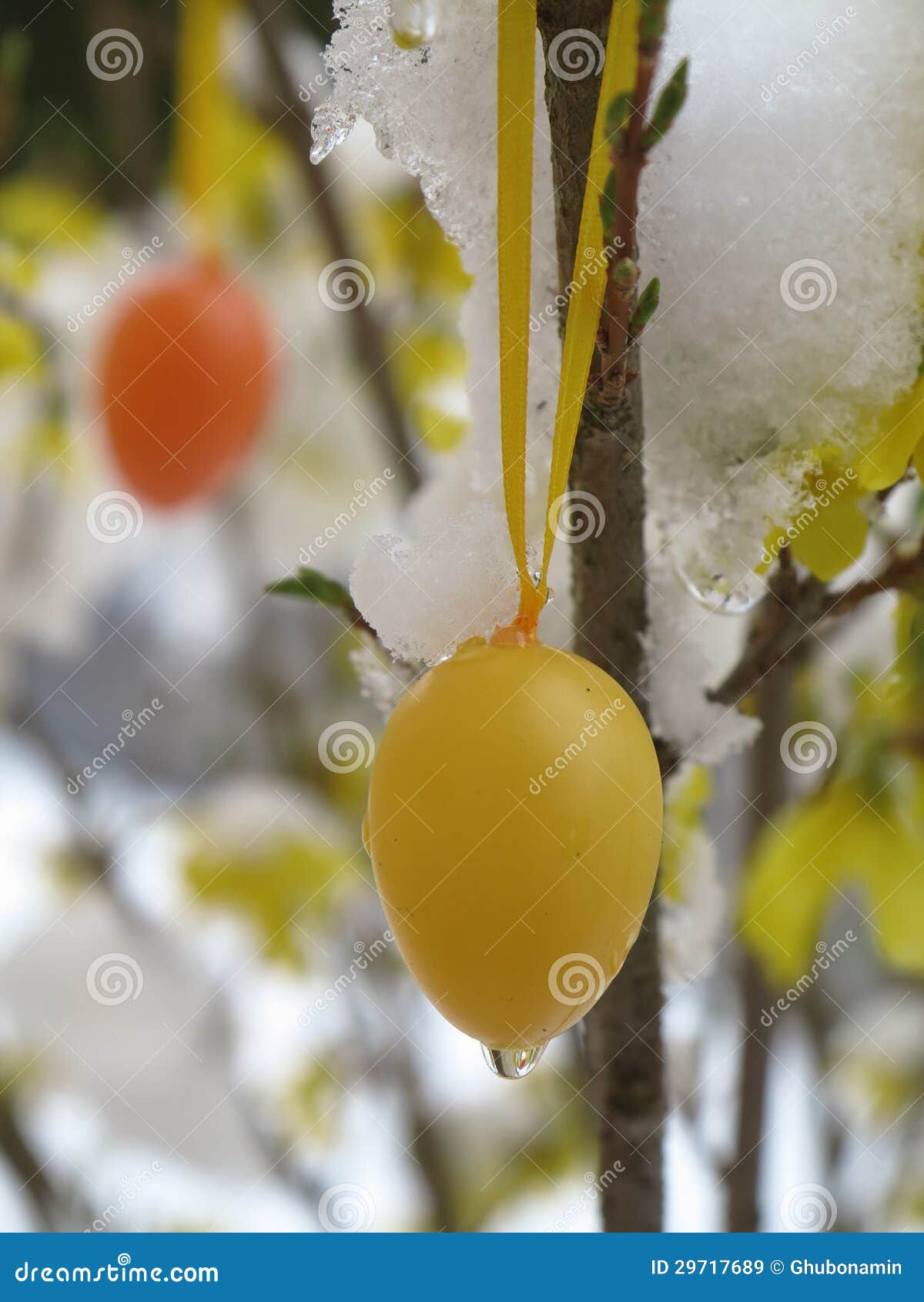 Easter egg rain stock image. Image of flower, event, raindrop - 29717689