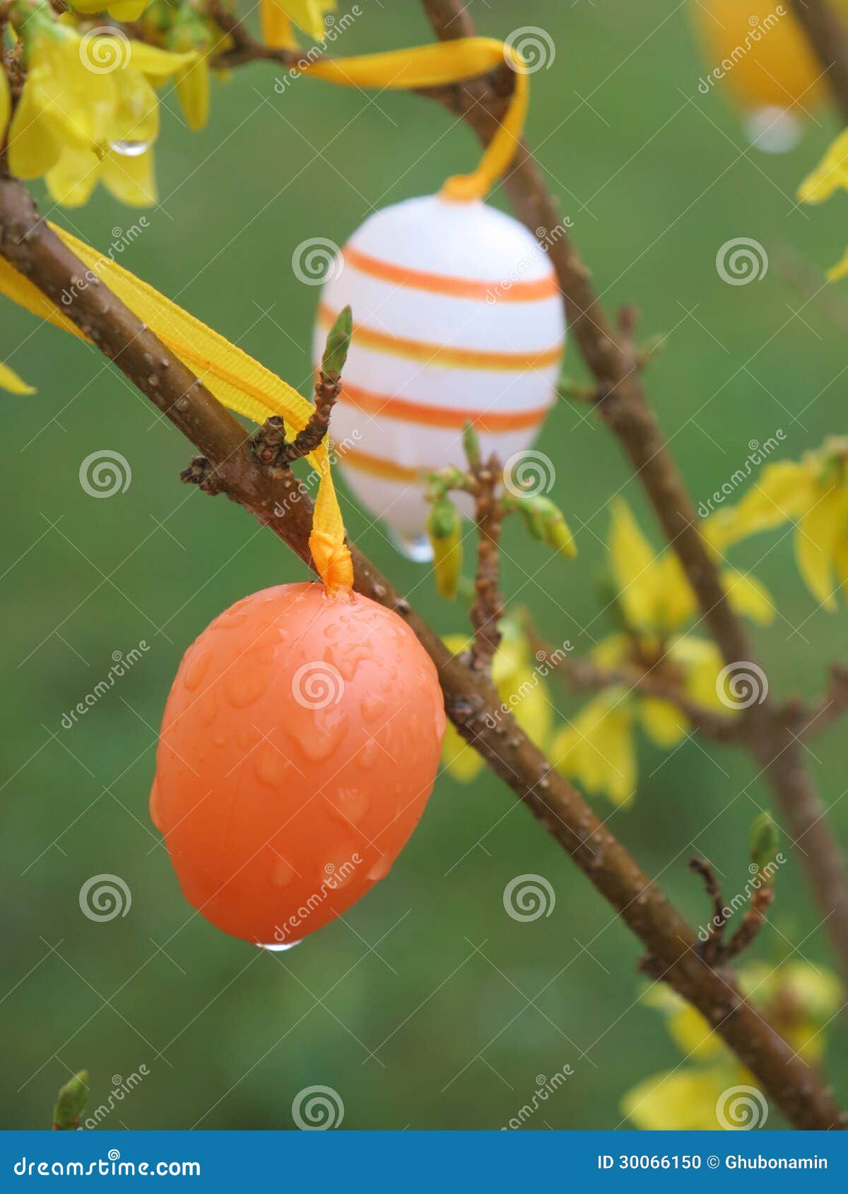 Easter egg rain stock photo. Image of life, event, rain - 30066150