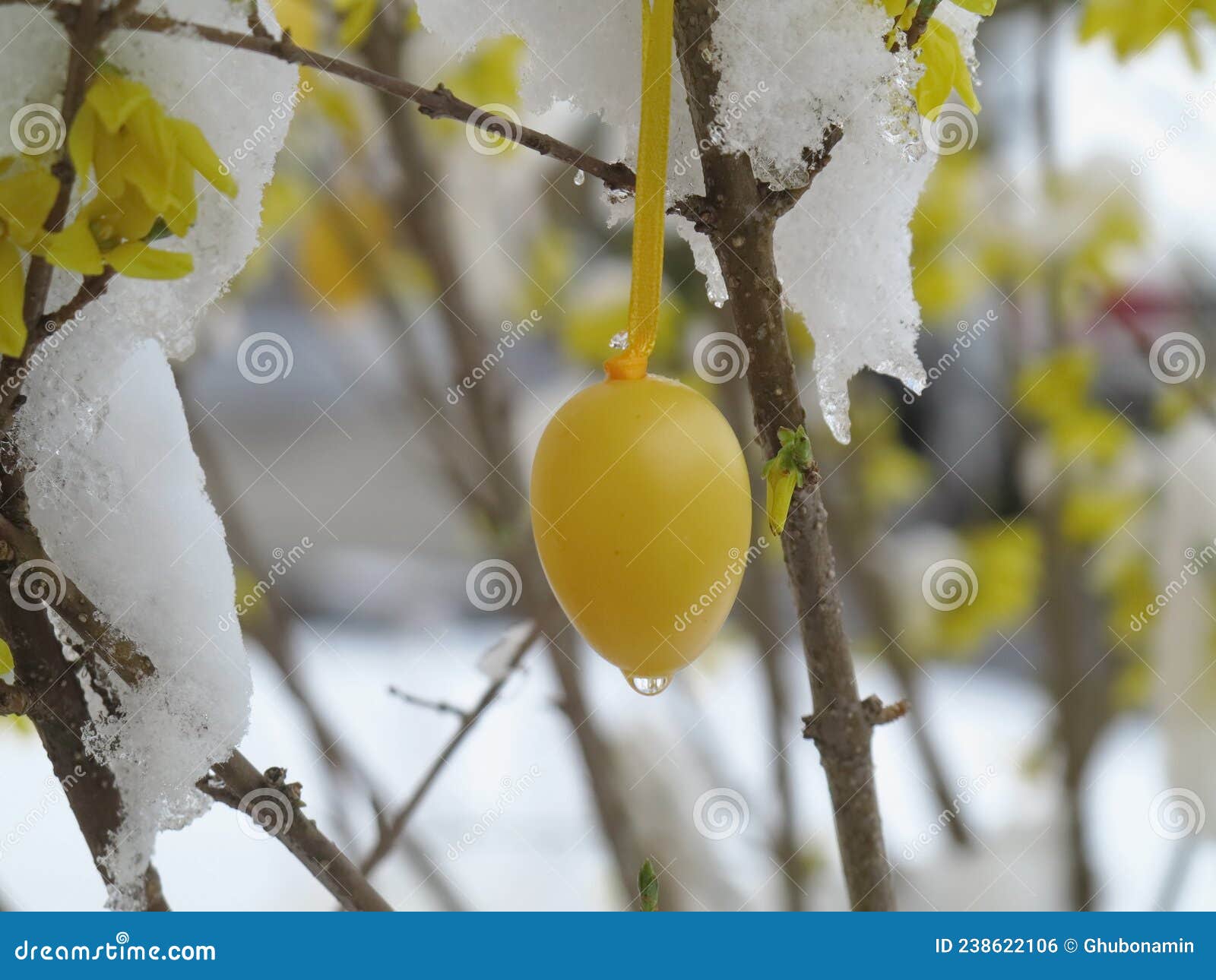 Easter egg rain stock photo. Image of season, plant - 238622106