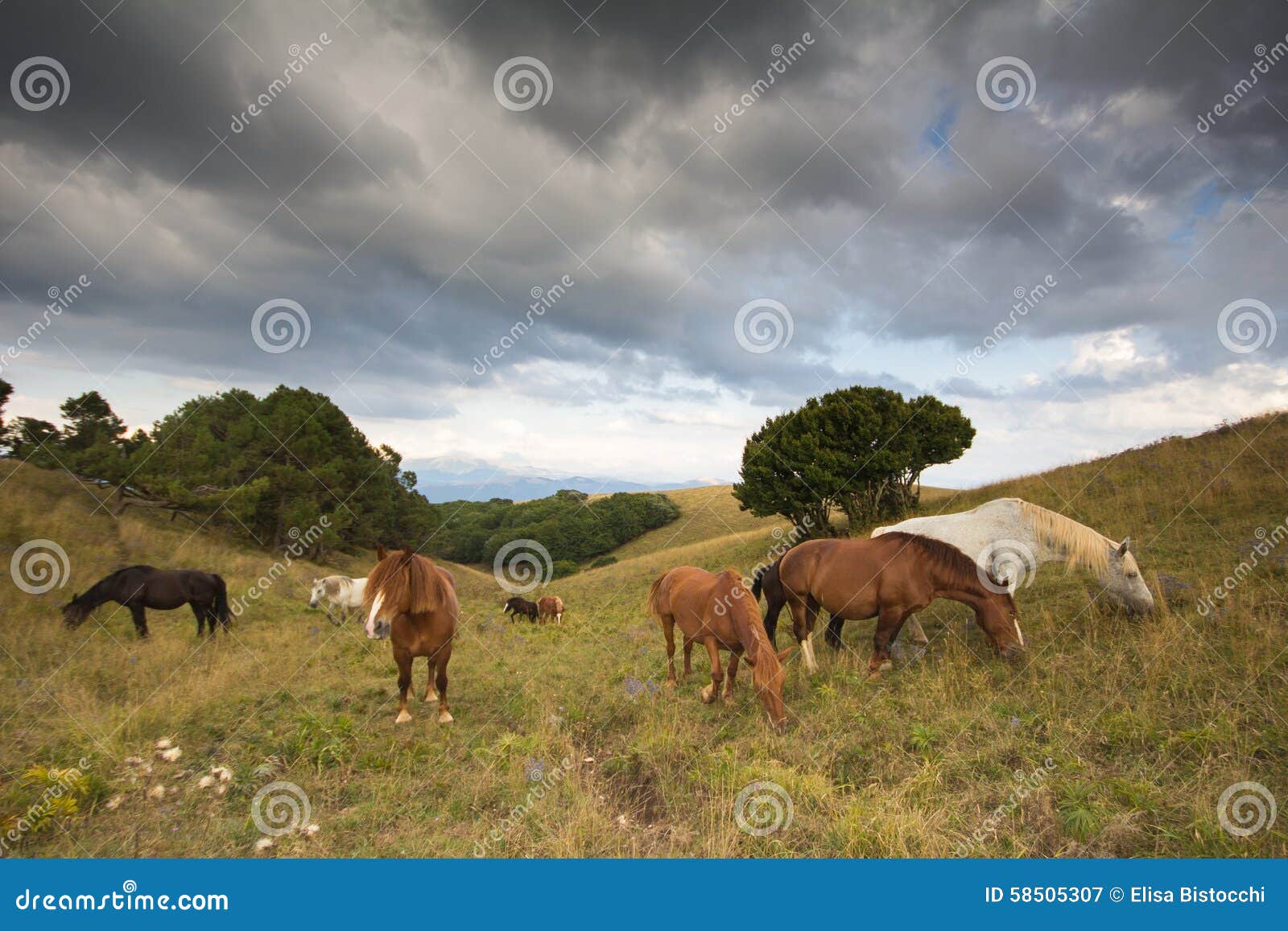 Bad Weather on the Mountain Farm Stock Image - Image of landscape ...