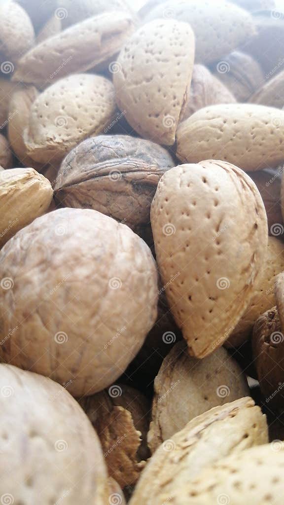 Badam stock image. Image of basamyagi, fruit, badam - 175568377