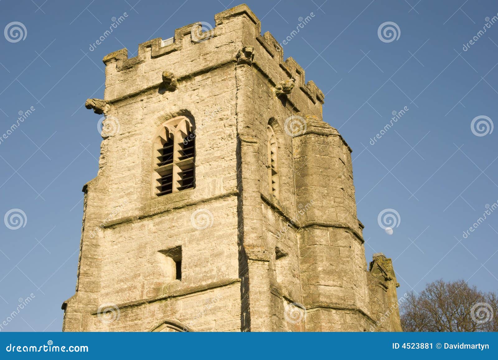 Baddesley Clinton estate stock image. Image of dafodill - 4523881