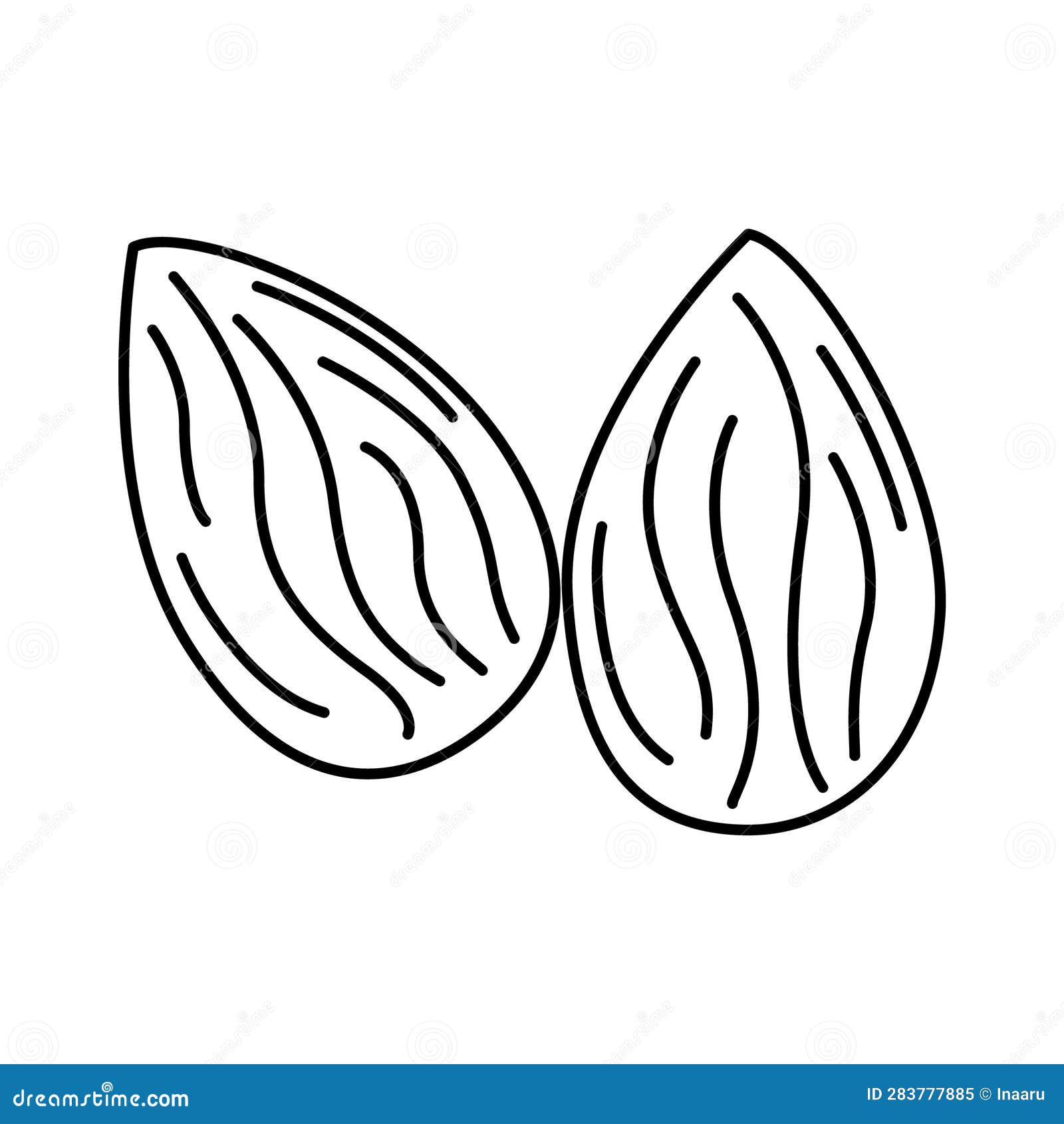 Badge almond. Vector stock vector. Illustration of botany - 283777885