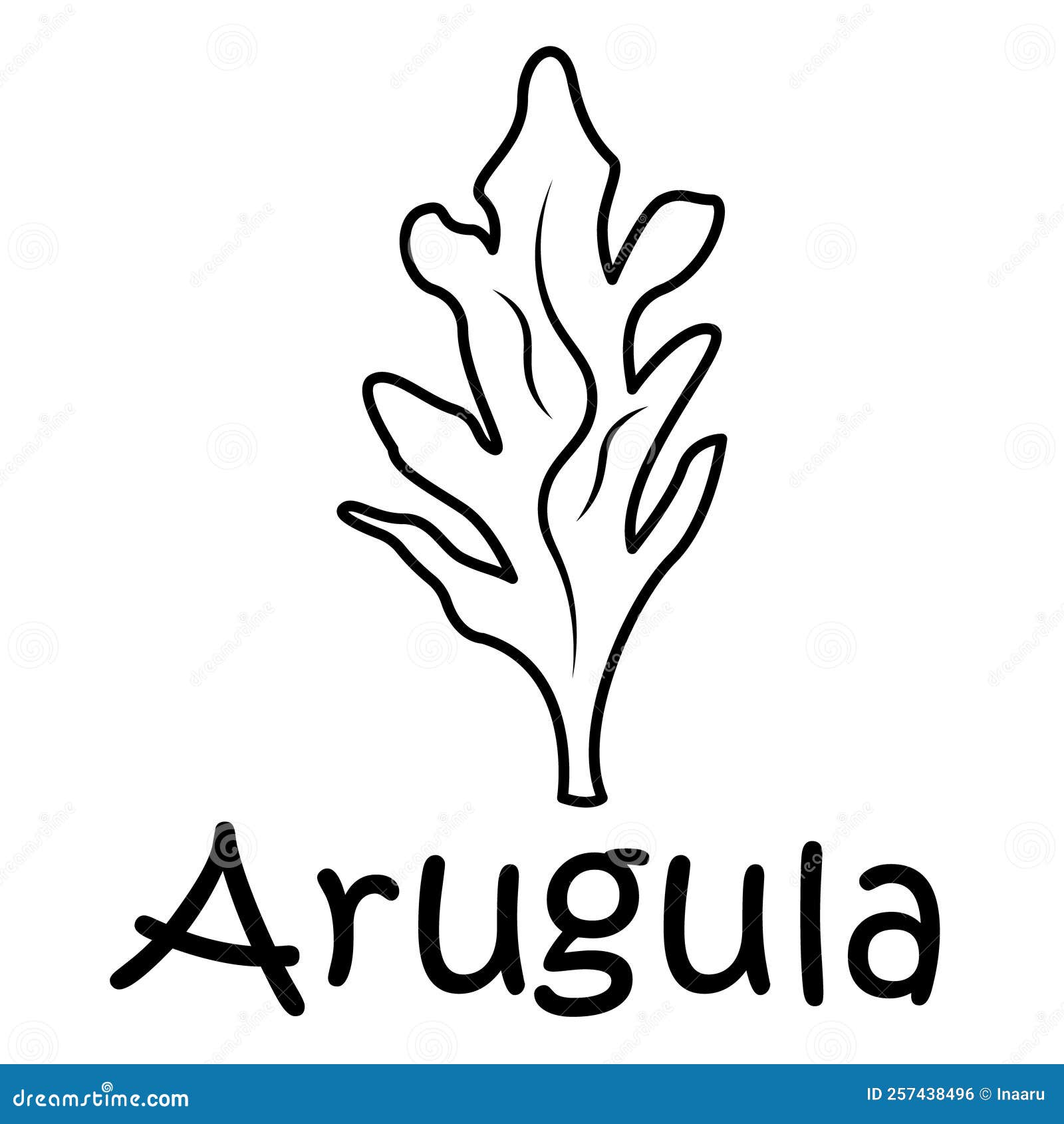 Badge Arugula with the Inscription. Stock Vector - Illustration of ...