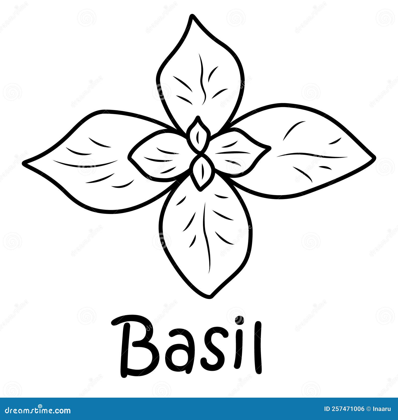 Badge Basil with the Inscription. Stock Vector - Illustration of ...