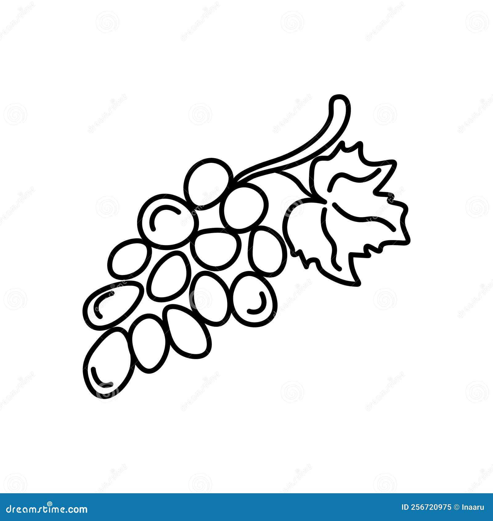 Badge grapes stock vector. Illustration of pattern, diet - 256720975