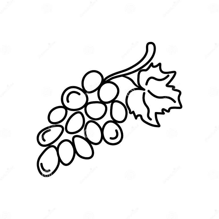 Badge grapes stock vector. Illustration of pattern, diet - 256720975