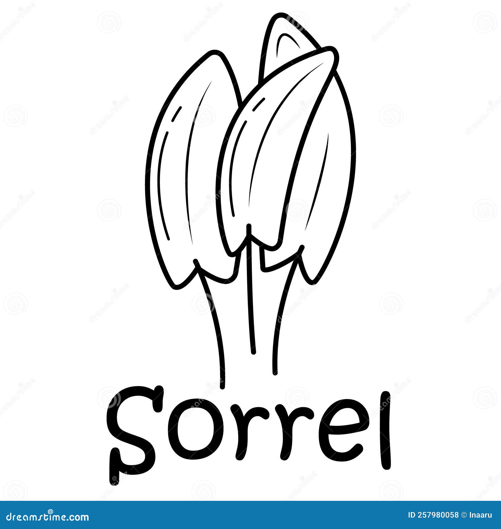 Badge Sorrel with the Inscription. Stock Illustration - Illustration of ...