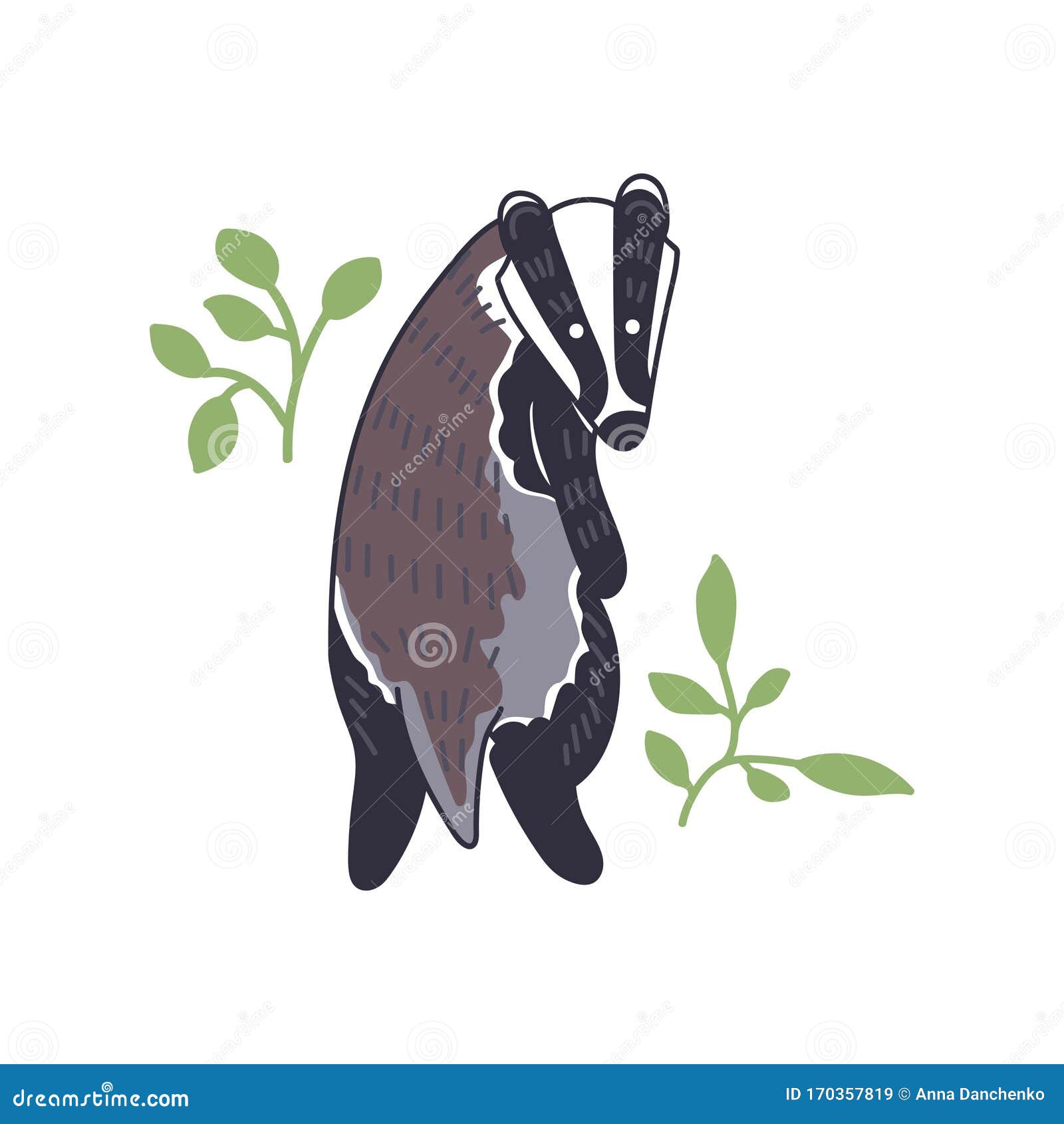 Badger Vector Illustration. Stock Vector - Illustration of character ...