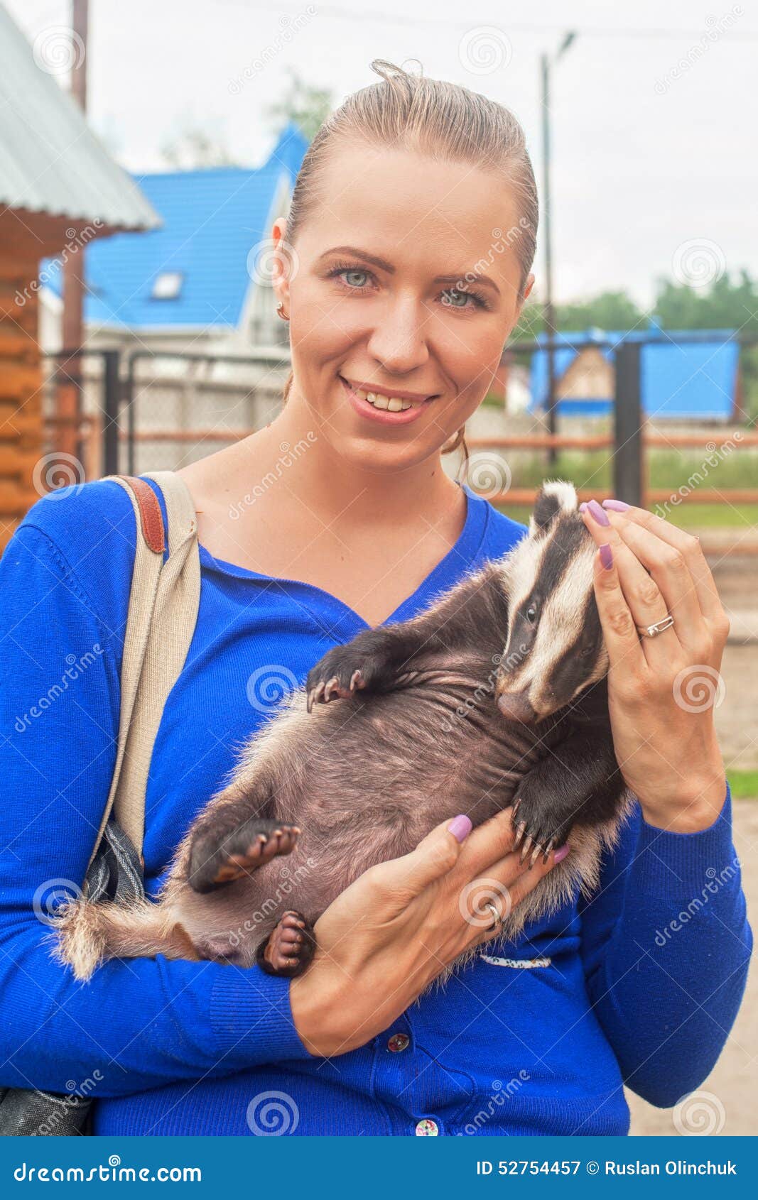 Badger stock image. Image of adult, curious, face, enjoyment - 52754457