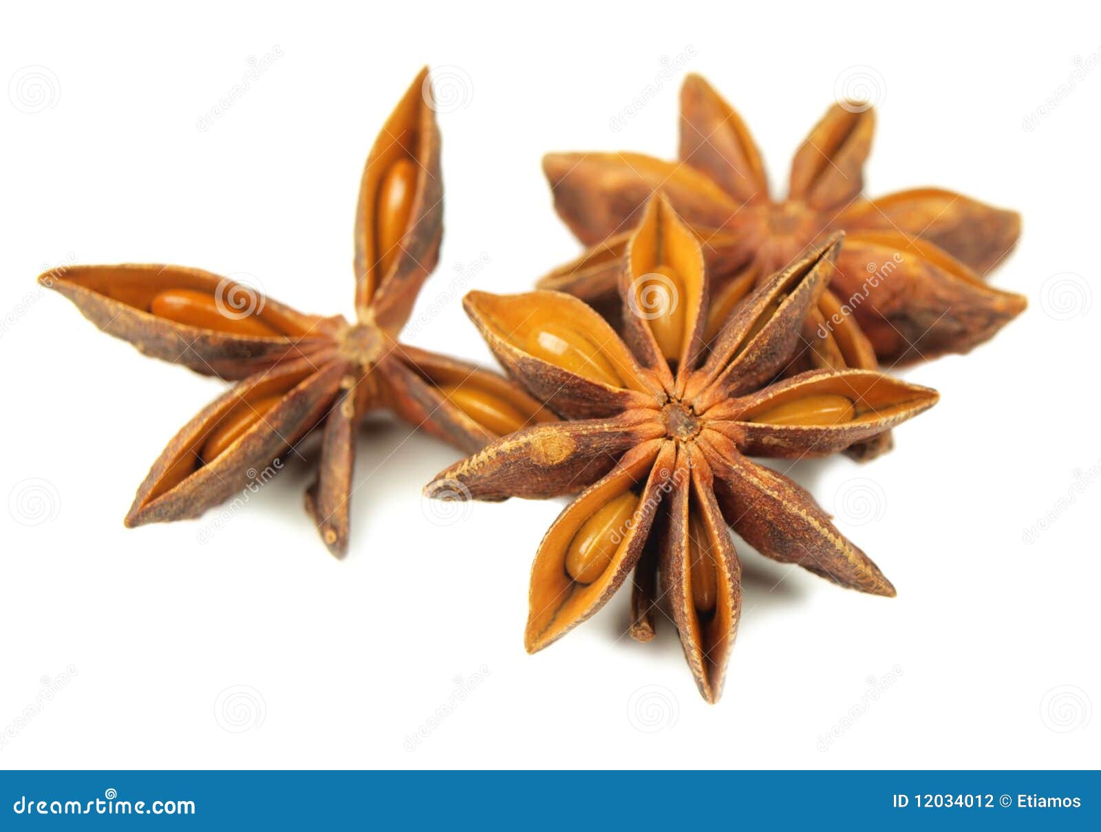 Badian stock photo. Image of isolated, dinner, recipe - 12034012