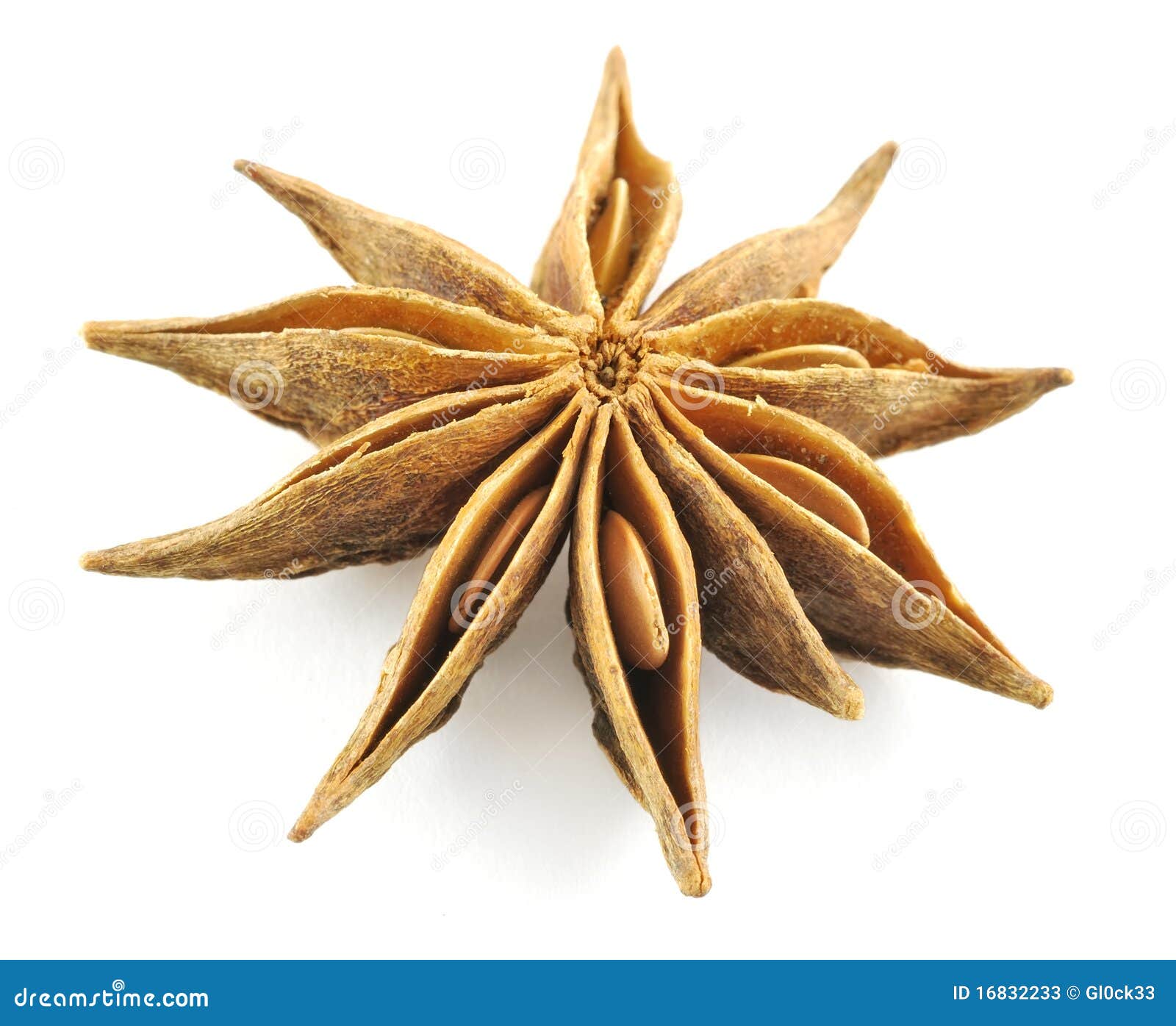 Badian stock image. Image of food, chine, closeup, star - 16832233