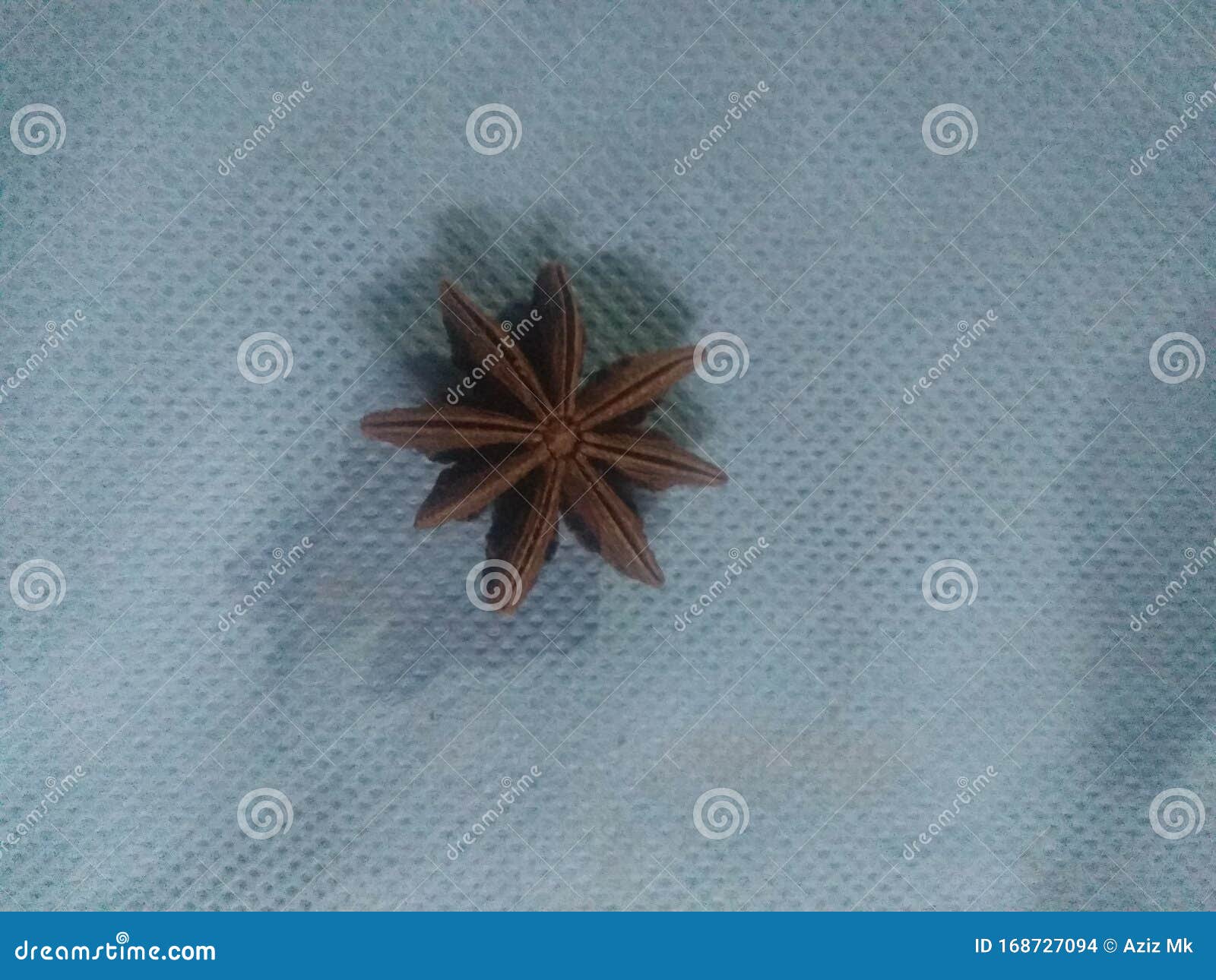 Badiyan Phool Star Phool Back Side Position Stock Photo - Image of ...