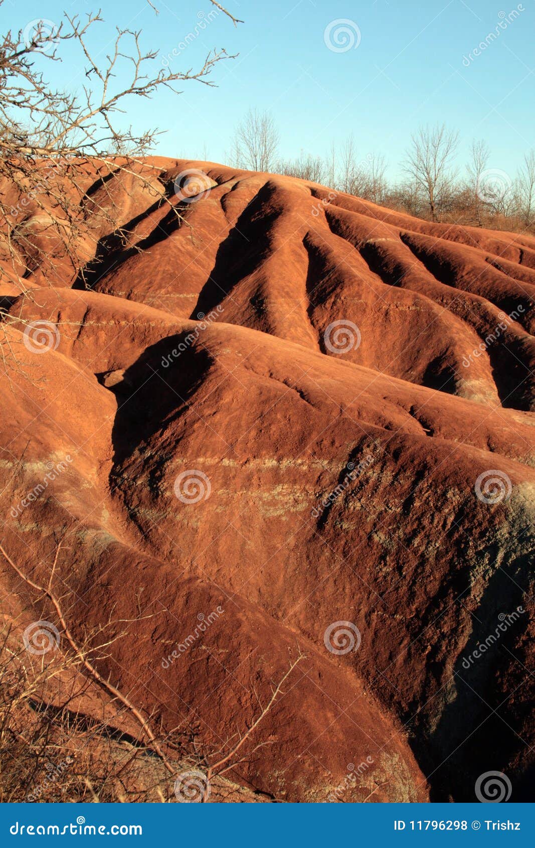 Badlands stock photo. Image of landscape, trees, hills - 11796298
