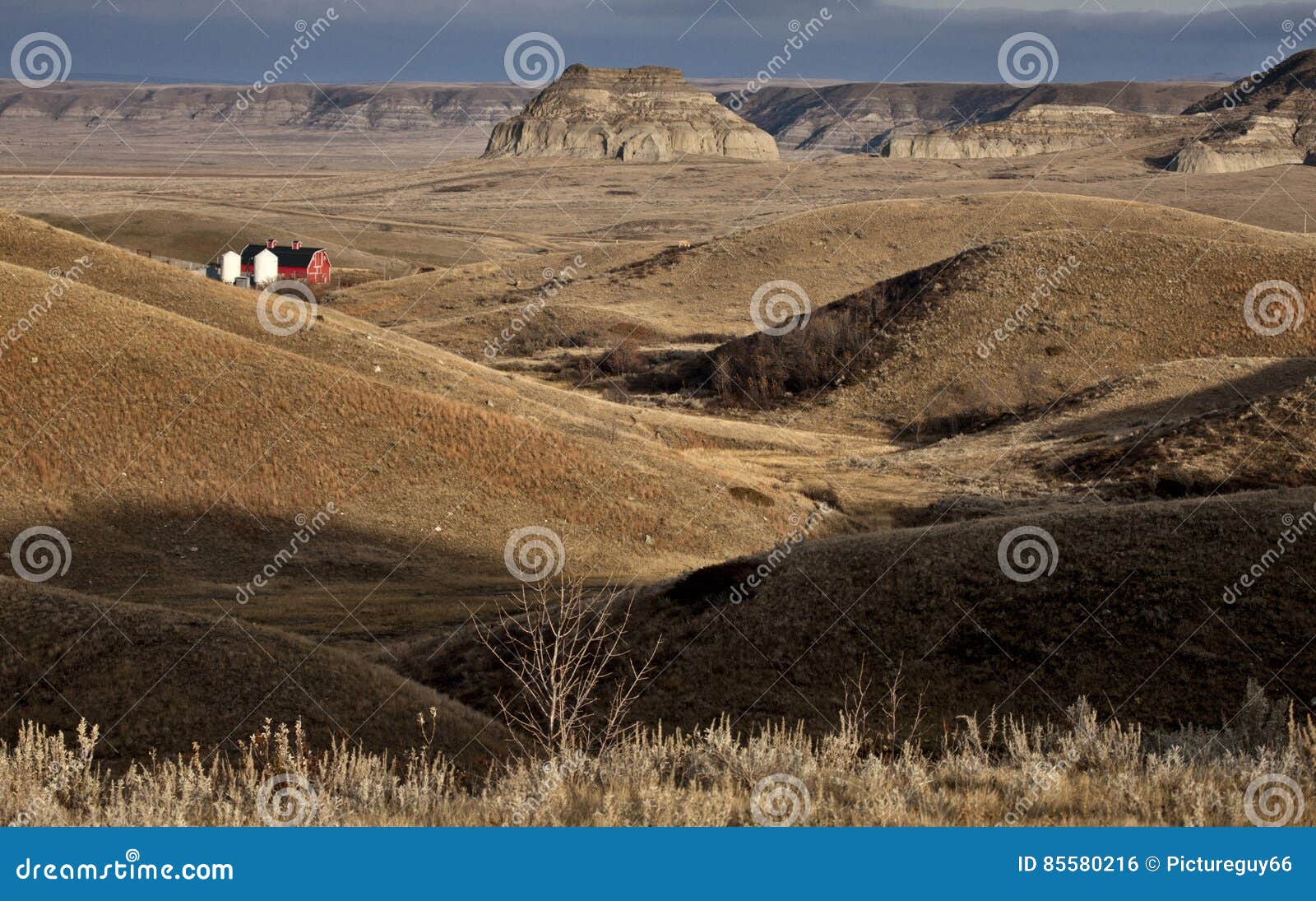 Badlands Canada Saskatchewan Stock Photo - Image of outside, sagebrush ...