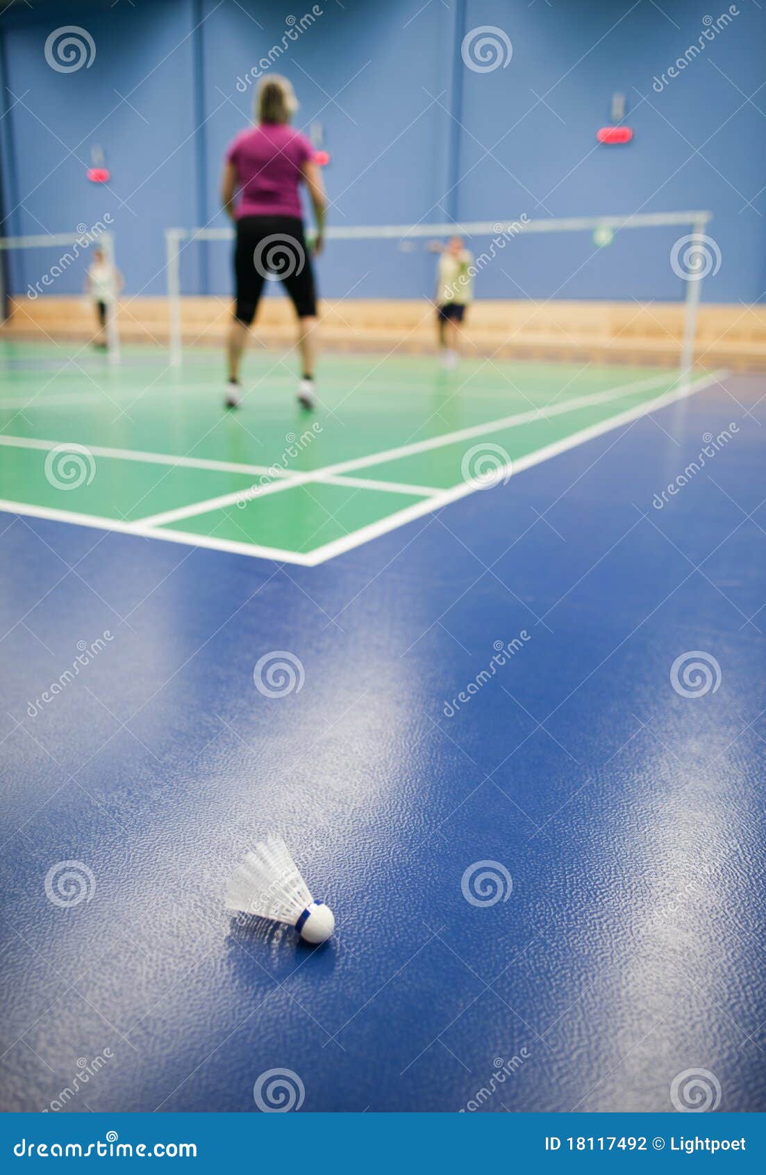 Badminton Picture. Image: 18117492