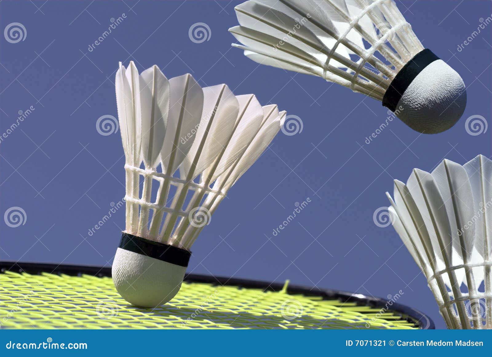 Badminton Action stock image. Image of shuttlecock, badminton - 7071321