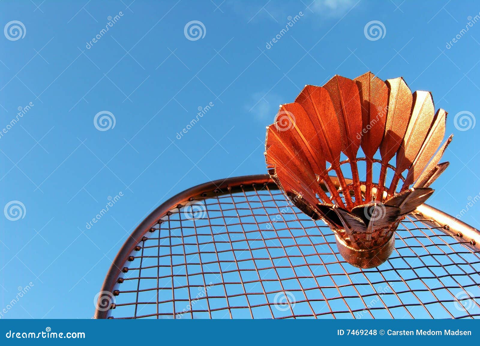 Badminton Action stock photo. Image of leisure, action - 7469248