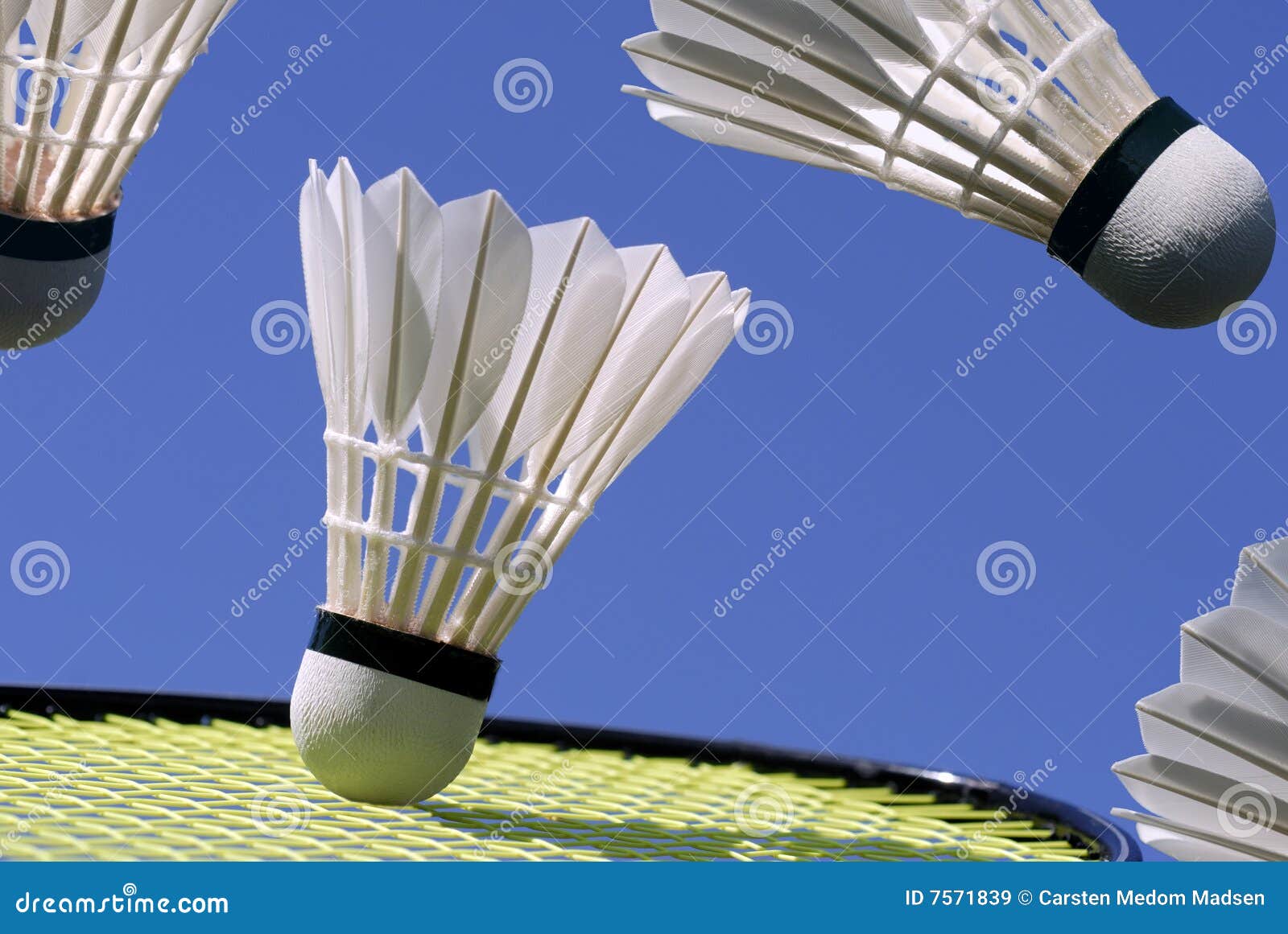 Badminton action all over stock image. Image of sport - 7571839