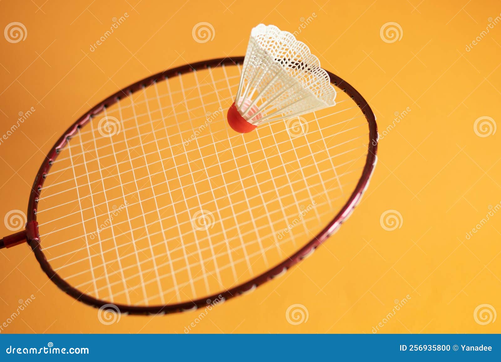 Badminton Background Royalty-Free Stock Photography | CartoonDealer.com ...